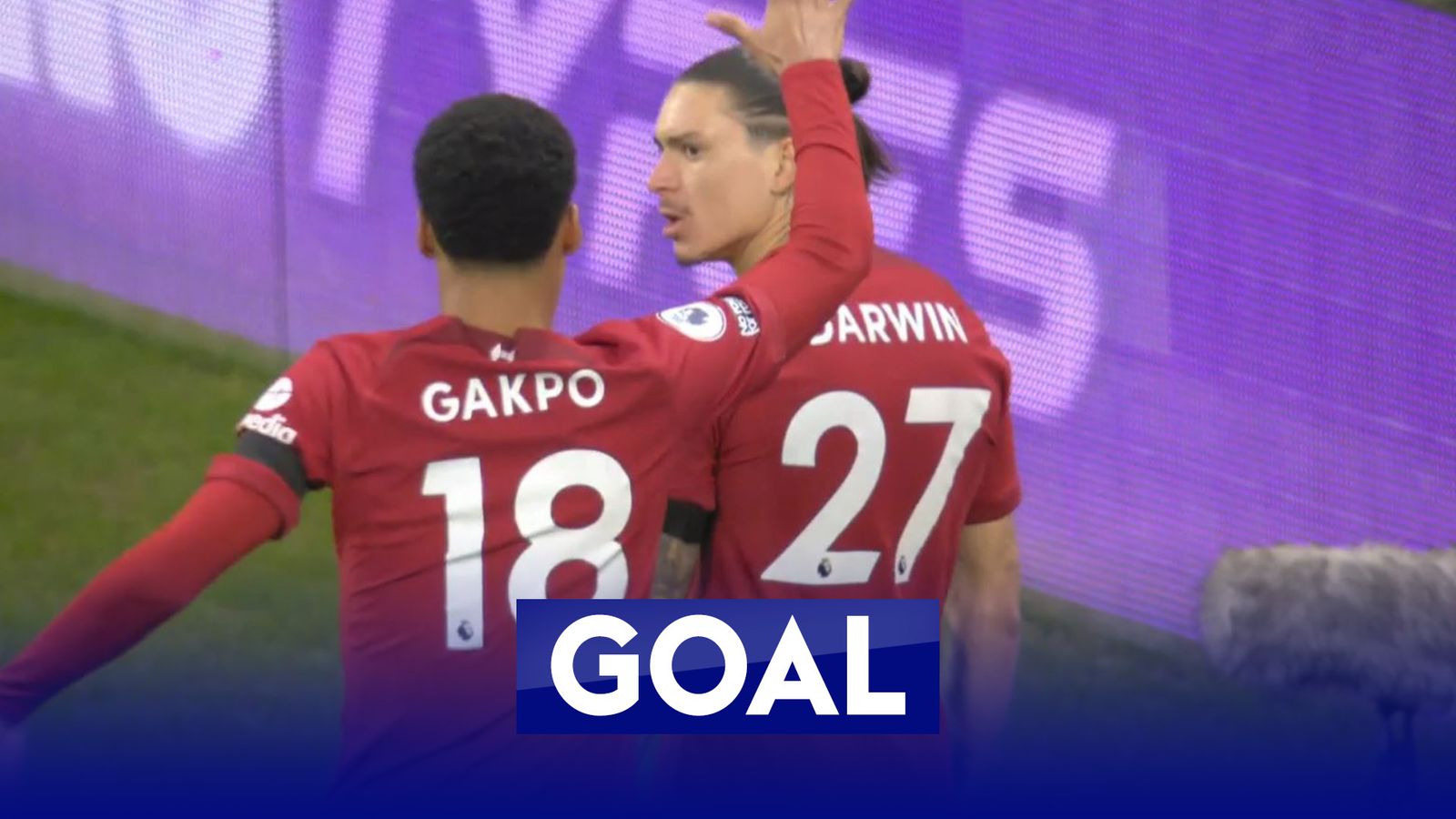 Nunez strikes early for Liverpool! | Football News | Sky Sports