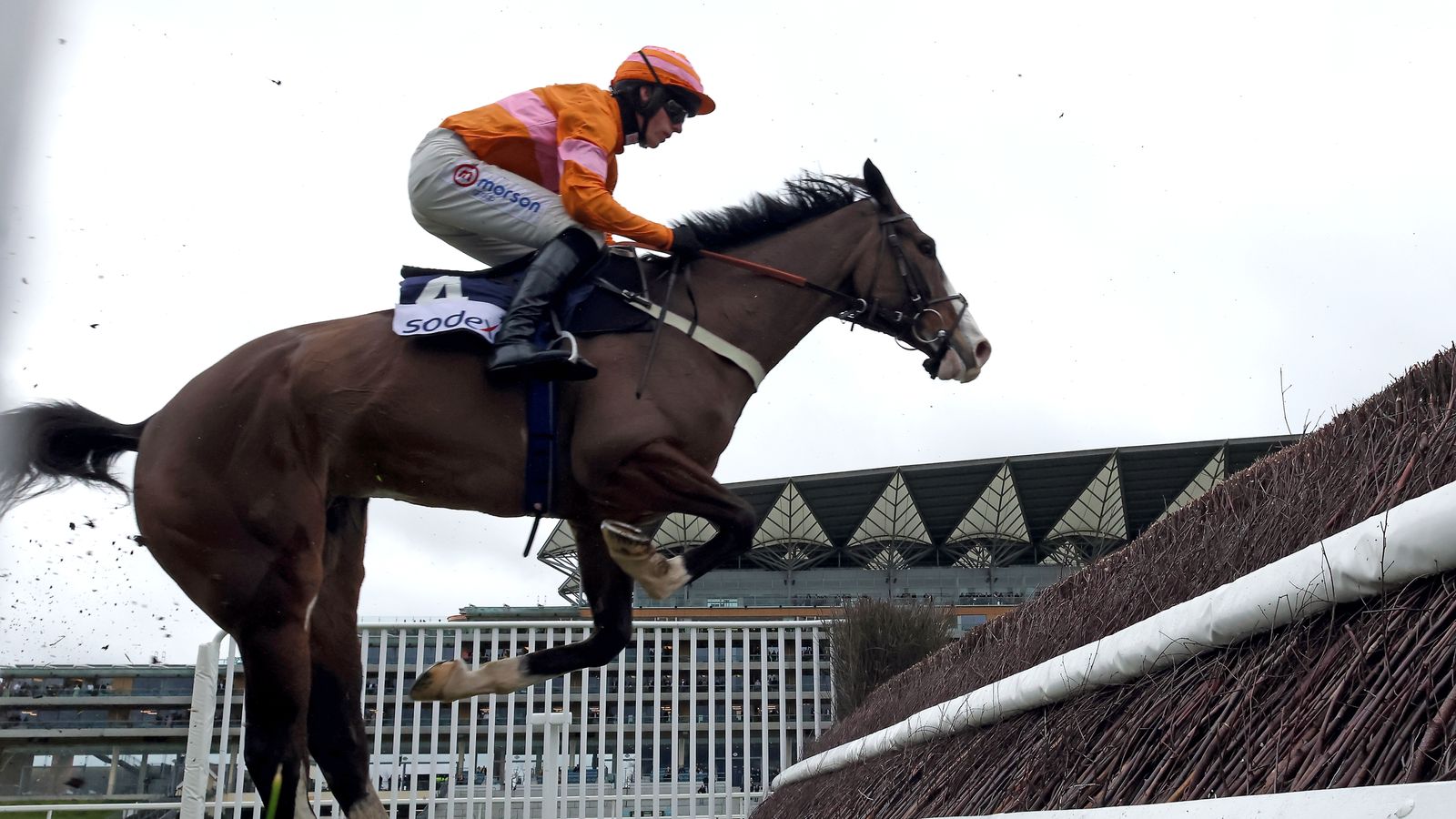 Cheltenham Festival: Joe Tizzard's top three handicap contenders ...