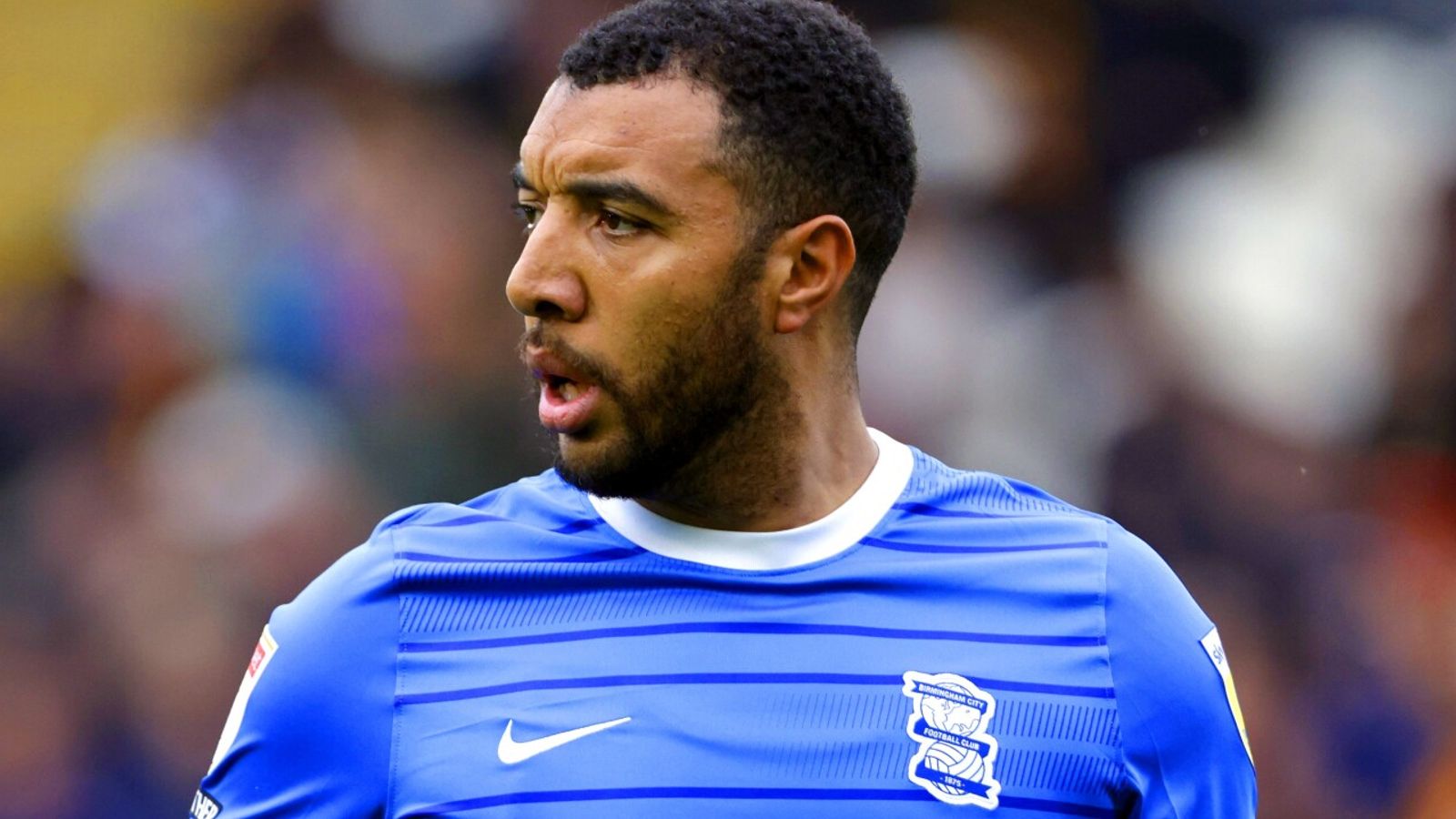 Troy Deeney: Birmingham captain racially abused by home supporter after ...