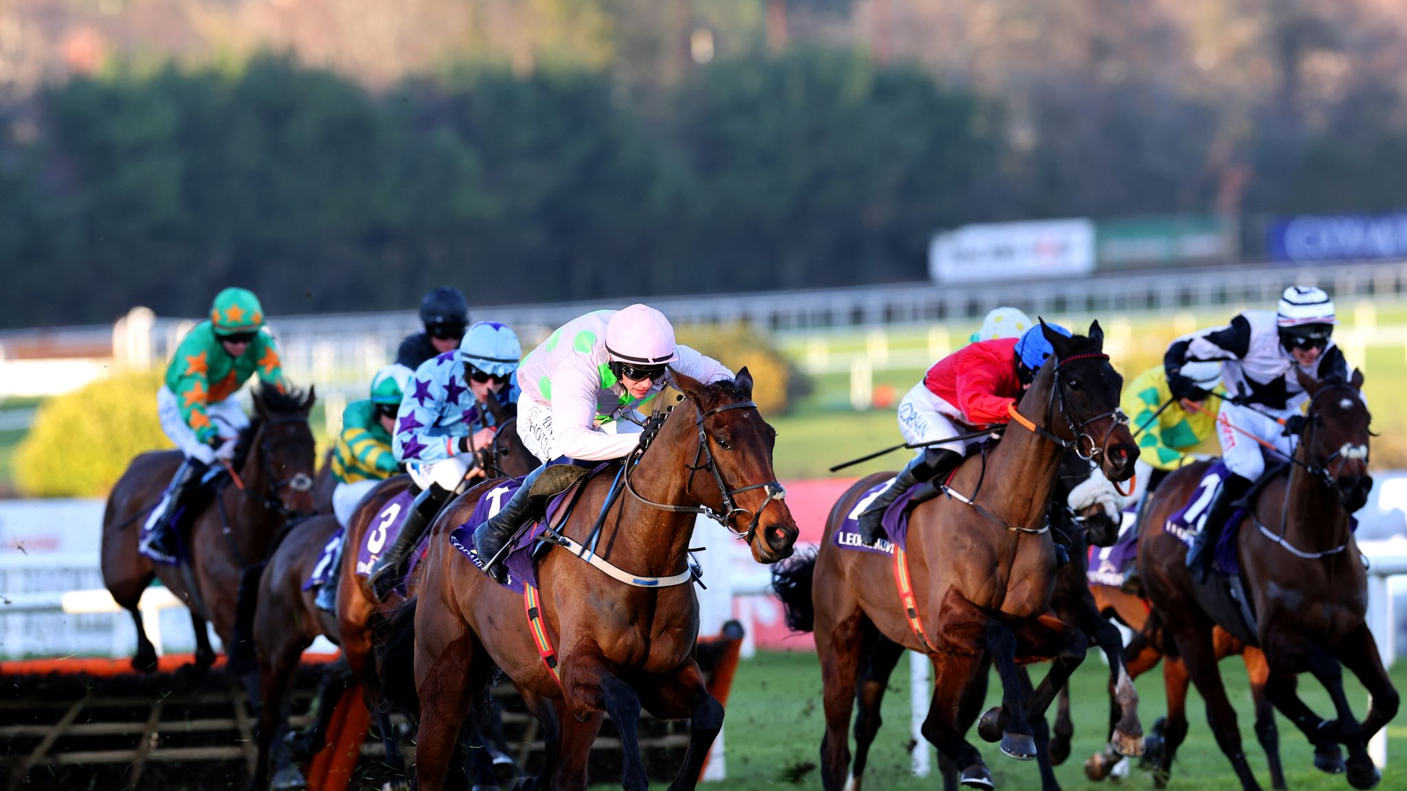 Cheltenham Festival: Willie Mullins reveals all on his team, including ...