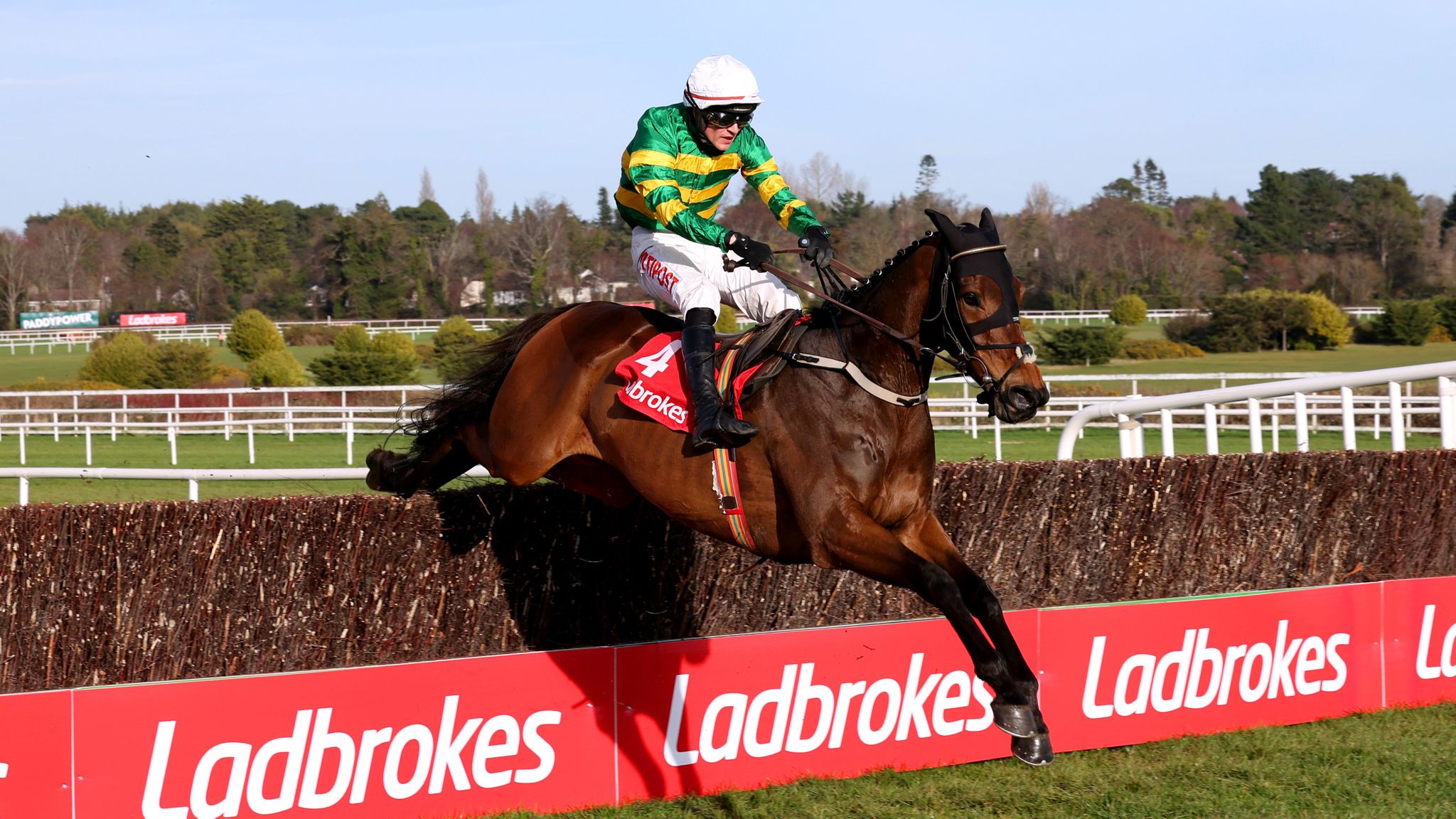 Dublin Chase: Gentleman De Mee defeats Blue Lord in Leopardstown shock ...
