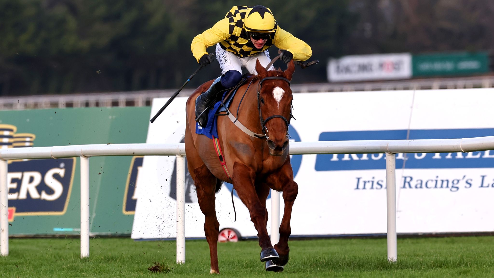 Irish Champion Hurdle: State Man defeats gallant Honeysuckle in ...