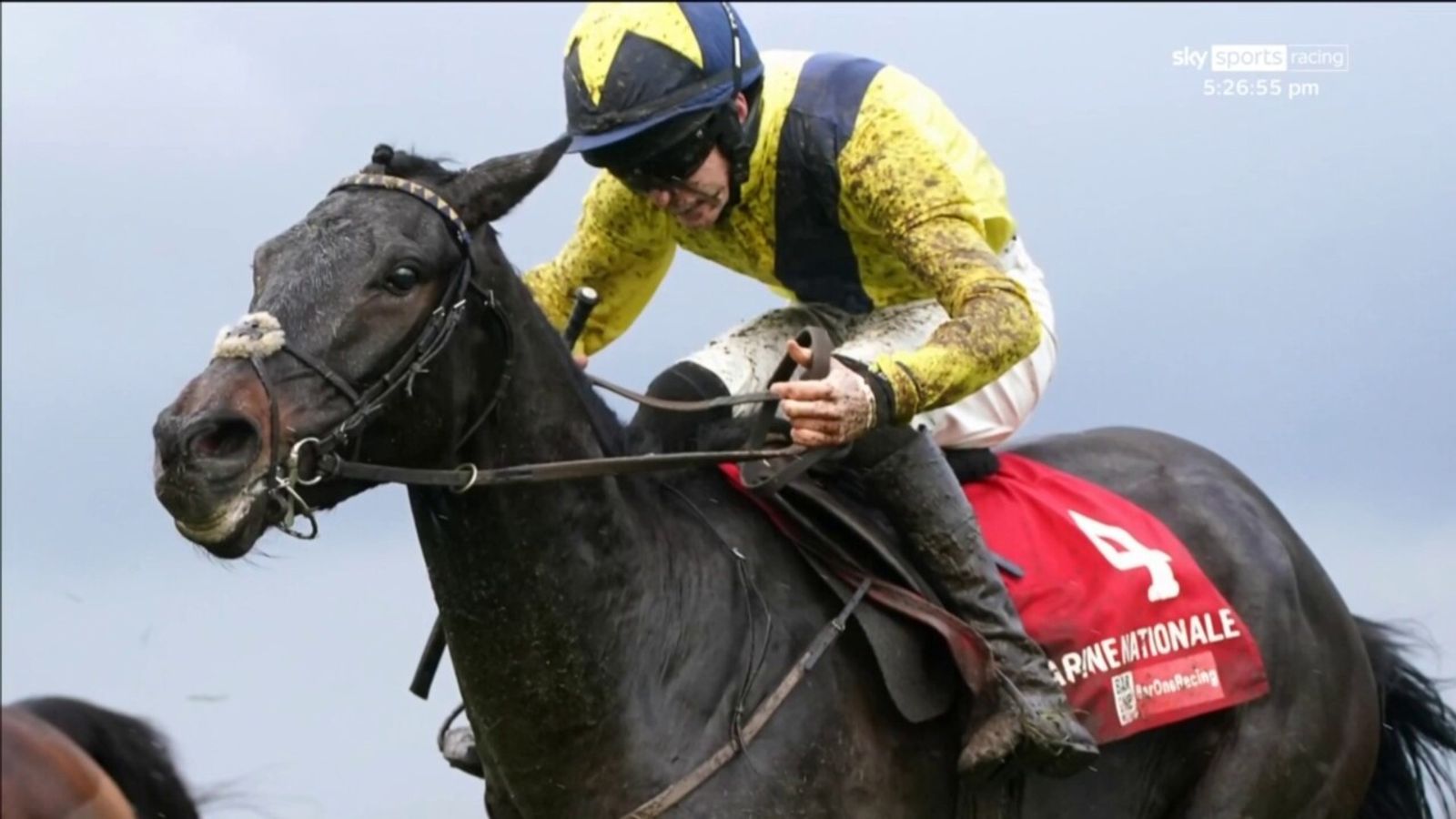 Connell: Marine Nationale is best horse in Supreme! | Racing News | Sky ...