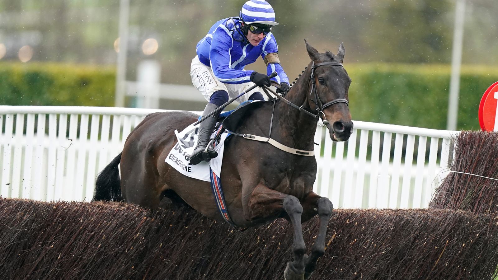 Cheltenham Festival: Energumene routs rivals in Champion Chase ...