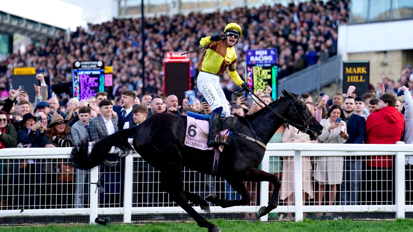 Cheltenham Gold Cup: Paul Townend hails Galopin Des Champs after ...