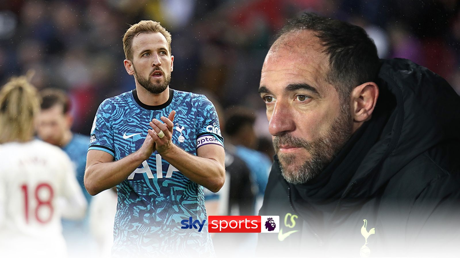 Michael Dawson: Cristian Stellini 'doesn't upset the apple cart' | UEFA ...