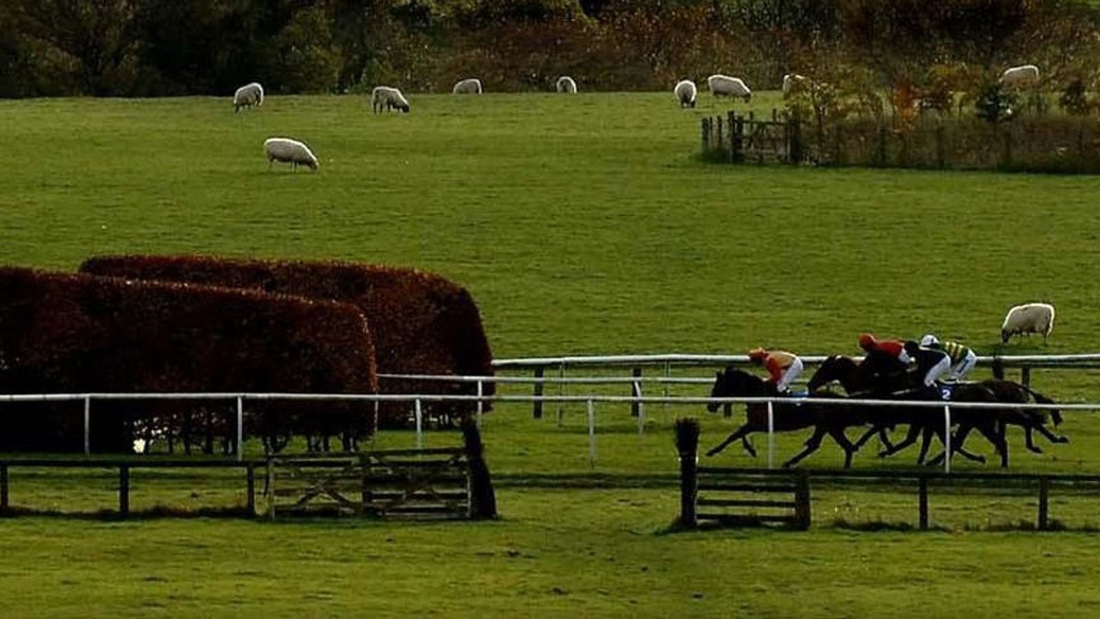 Today on Sky Sports Racing: Hexham hosts jumps action on Tuesday before ...