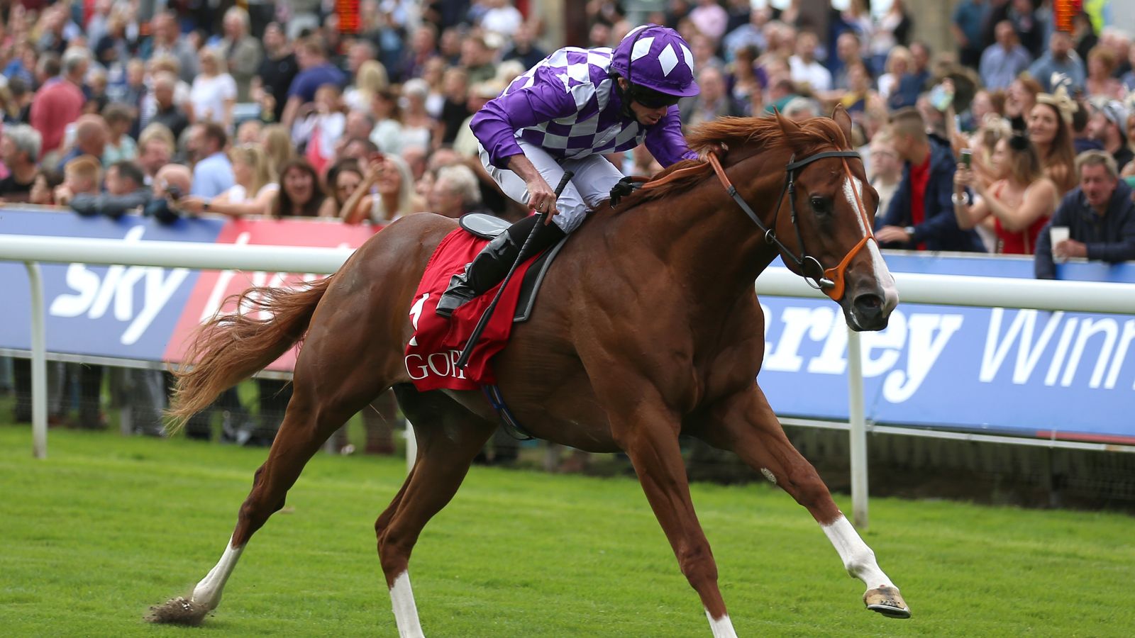 Good Friday tips: Jamie Lynch's selections on All-Weather Finals Day on ...