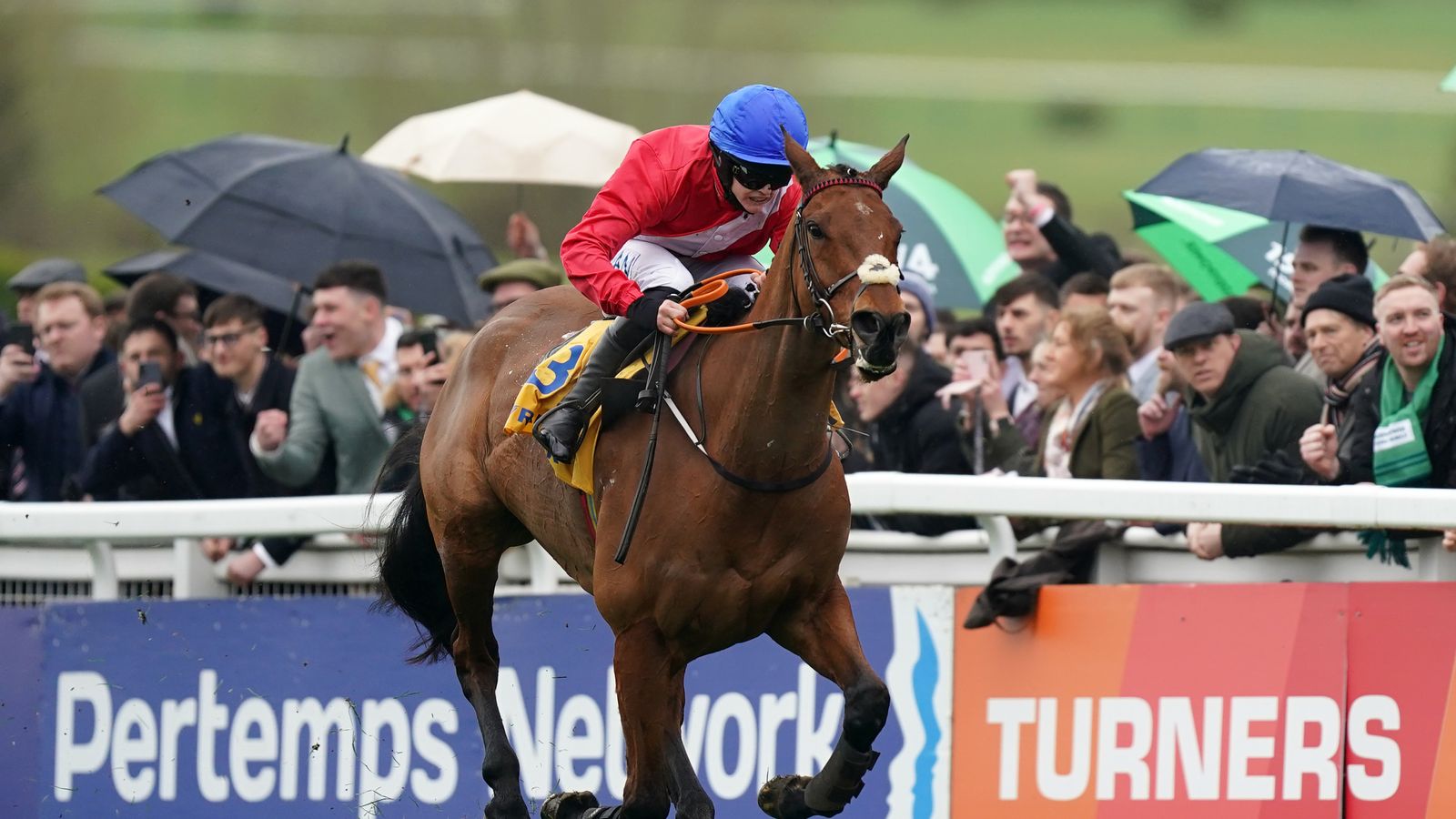 Cheltenham Festival: Envoi Allen punishes Shishkin's blunders to win ...
