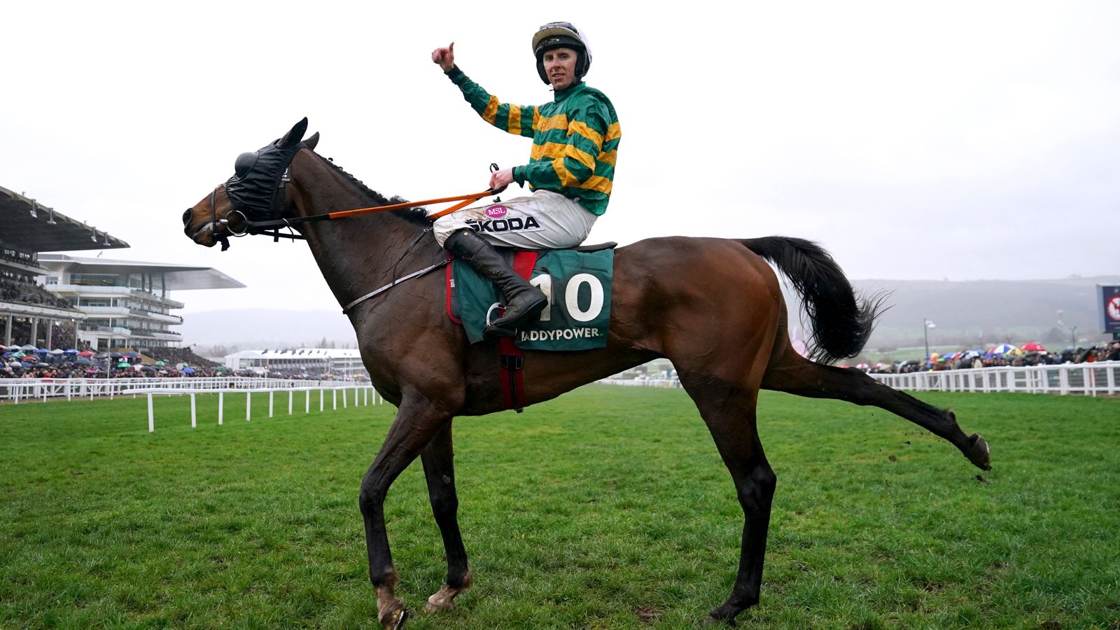 Cheltenham Festival: Sire Du Berlais causes a shock in the Stayers ...