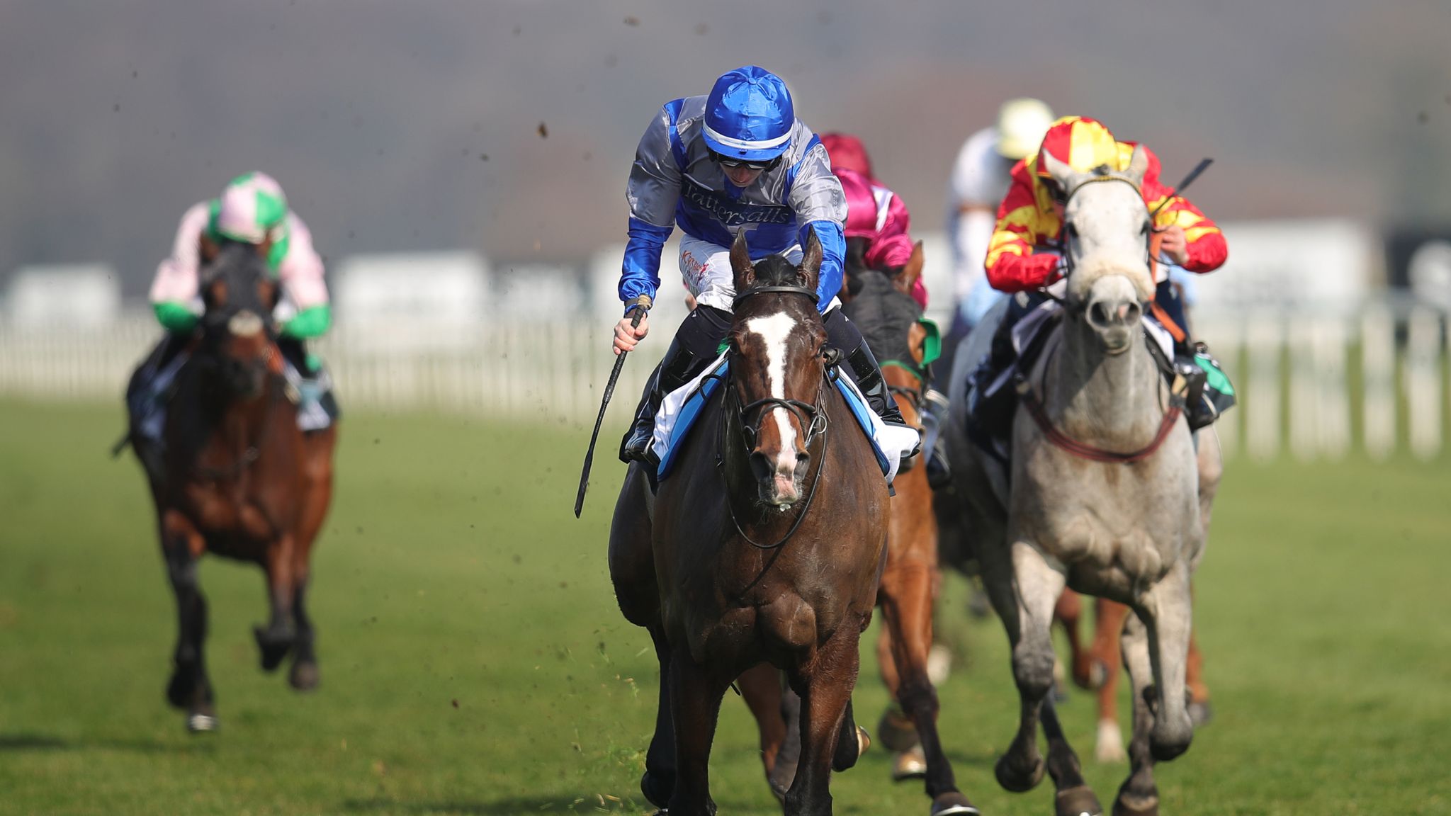 Saturday racing tips: At The Races expert Declan Rix picks out four to ...
