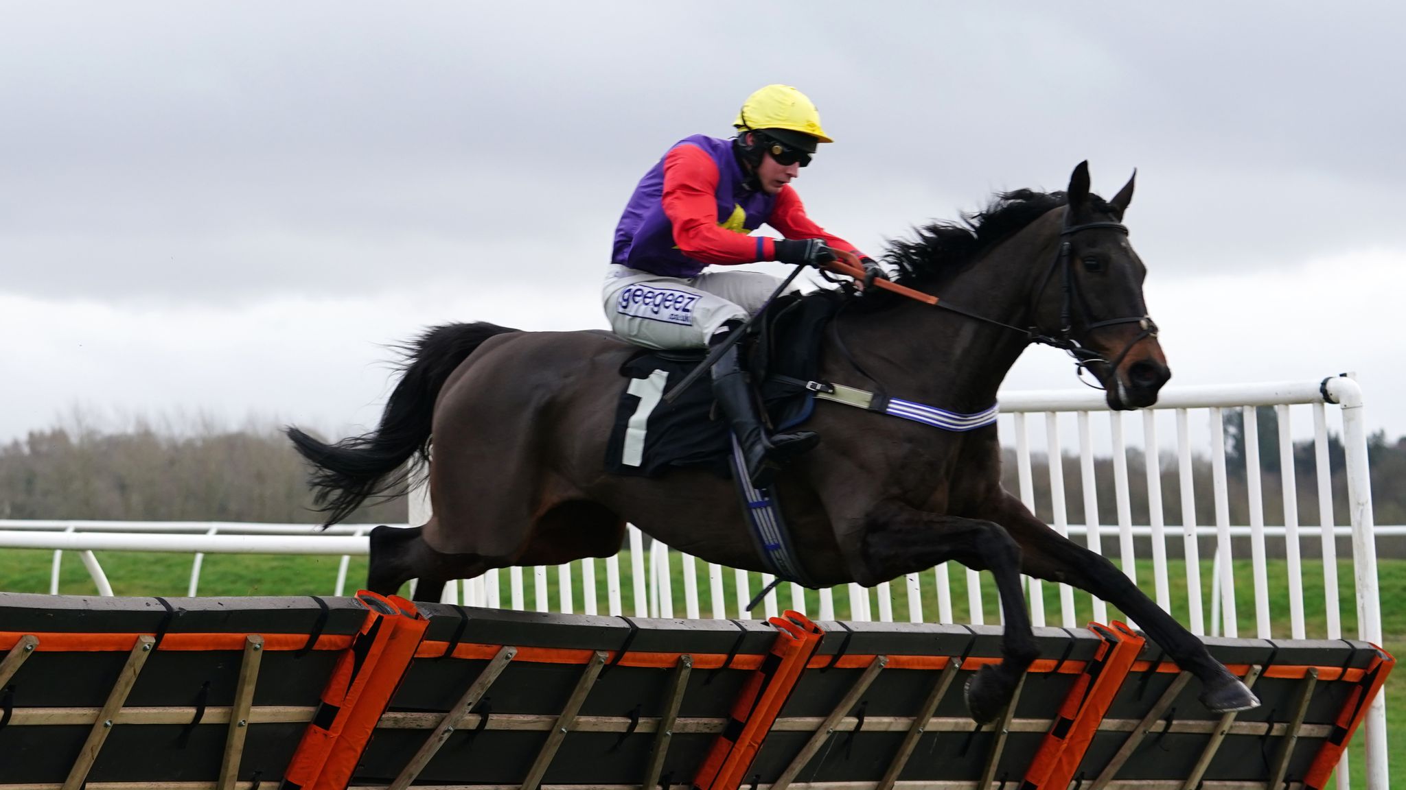 Dashel Drasher has Ascot's 1965 Chase as option for next run, reveals ...