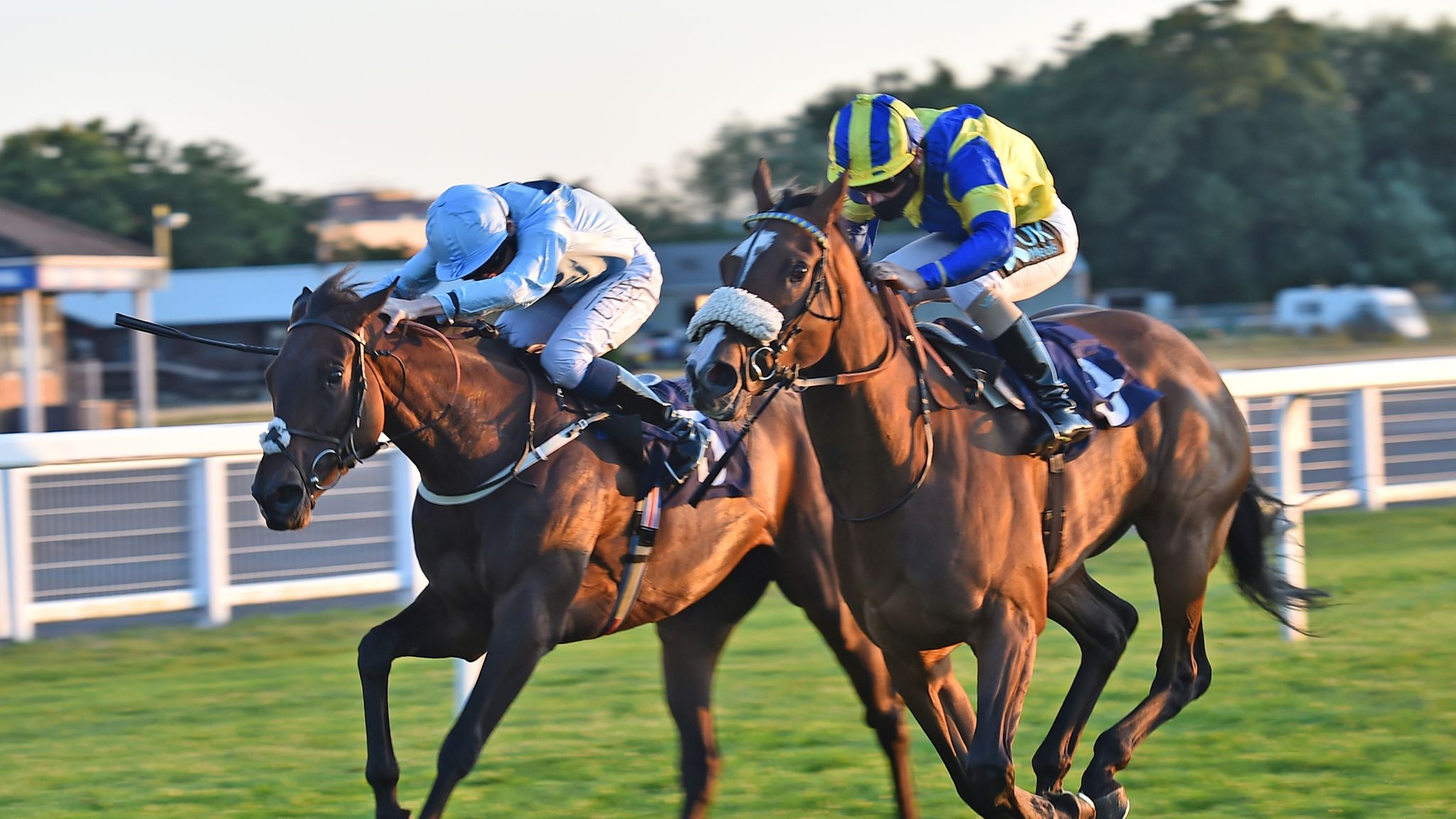 Winter Million Festival: Four to follow at Lingfield on Saturday from ...