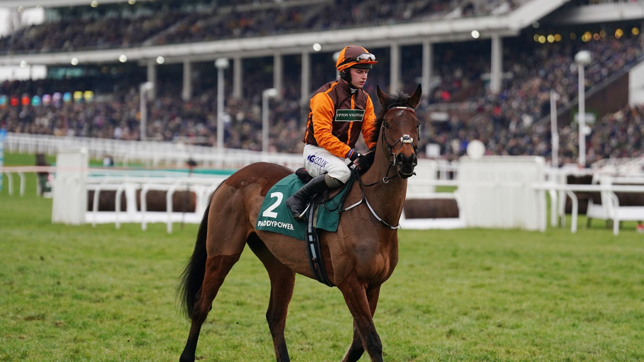 Grand National: 2022 winner Noble Yeats headlines 50 left in Aintree ...