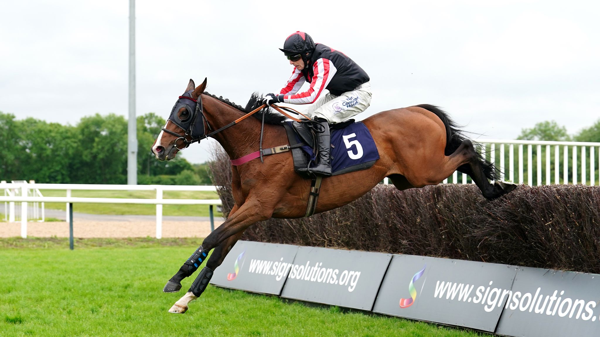 Hereford and Newcastle feature on full Friday of action starring Credo ...