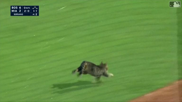 Highlights of the Portland Trail Blazers against the Washington Wizards ...