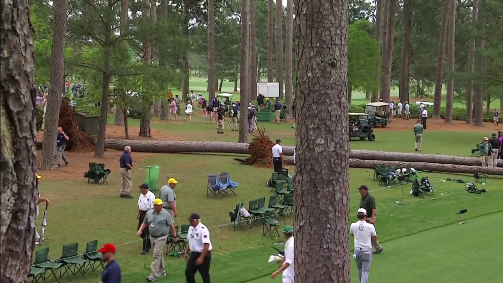 Play suspended at Augusta | No injuries as three trees fall | Golf News ...