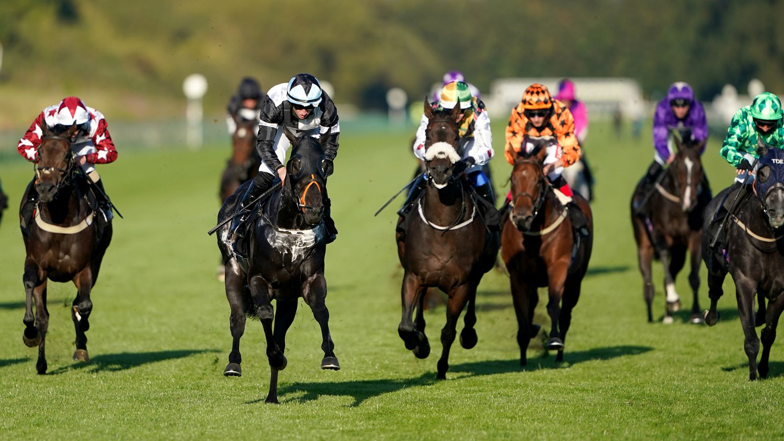 Today on Sky Sports Racing: Neil Callan out to strike at Lingfield with ...