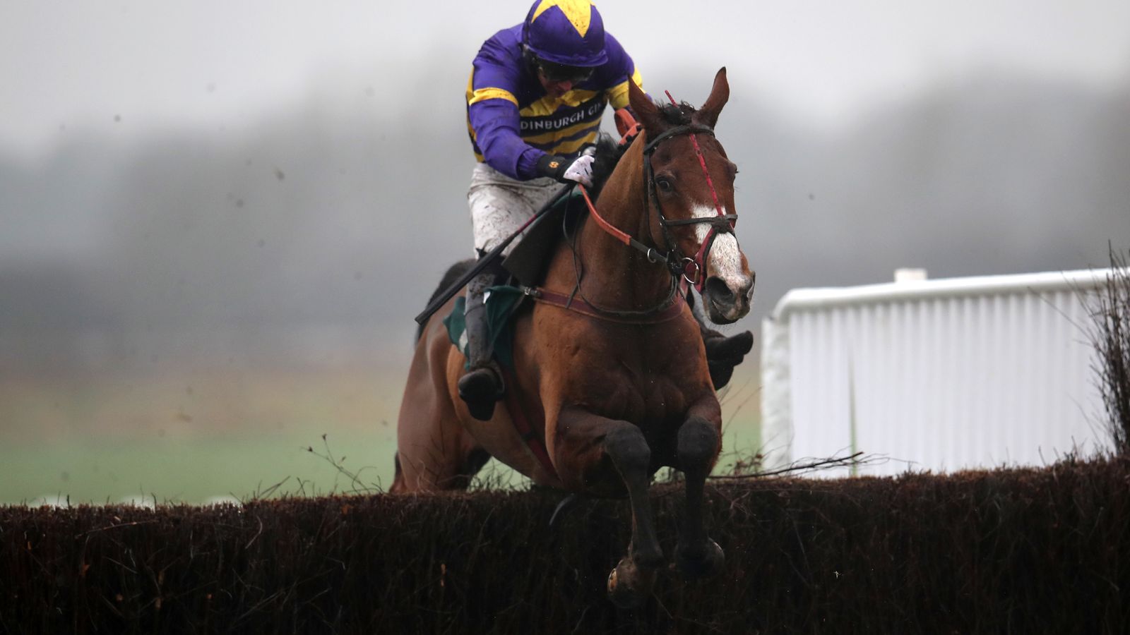 Tom Scudamore's Grand National runner-by-runner guide! | Racing News ...