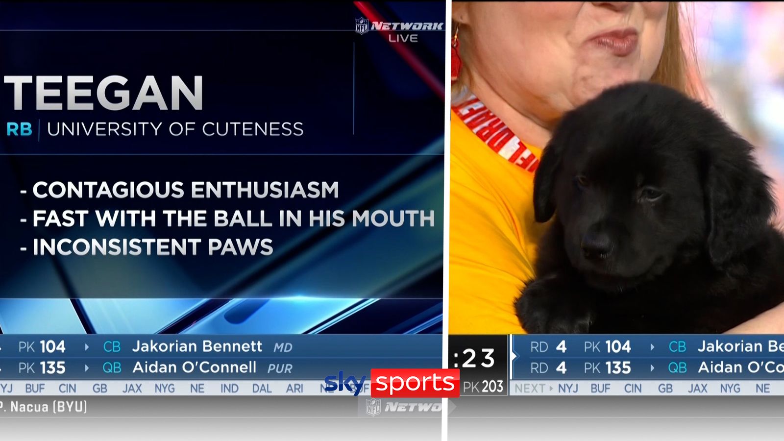 Rescue puppies get their own scouting report at NFL Draft! | NFL News ...