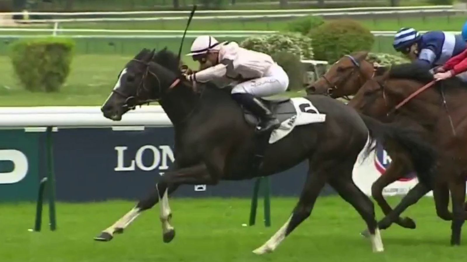 Prix Ganay: Iresine downs Bay Bridge and Vadeni as Marie Velon comes ...