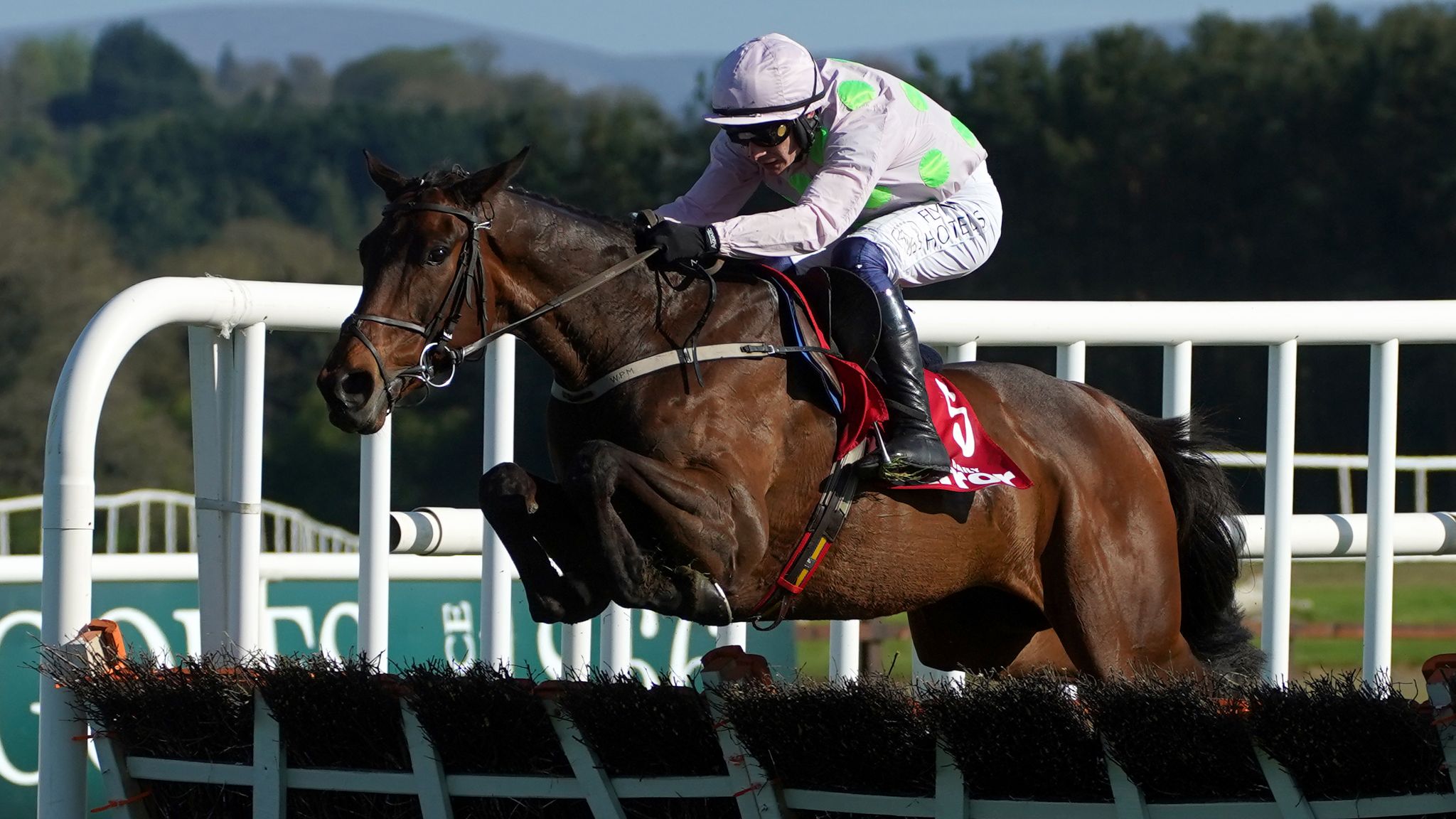 Irish Mirror Novice Hurdle: Gaelic Warrior storms to Punchestown ...