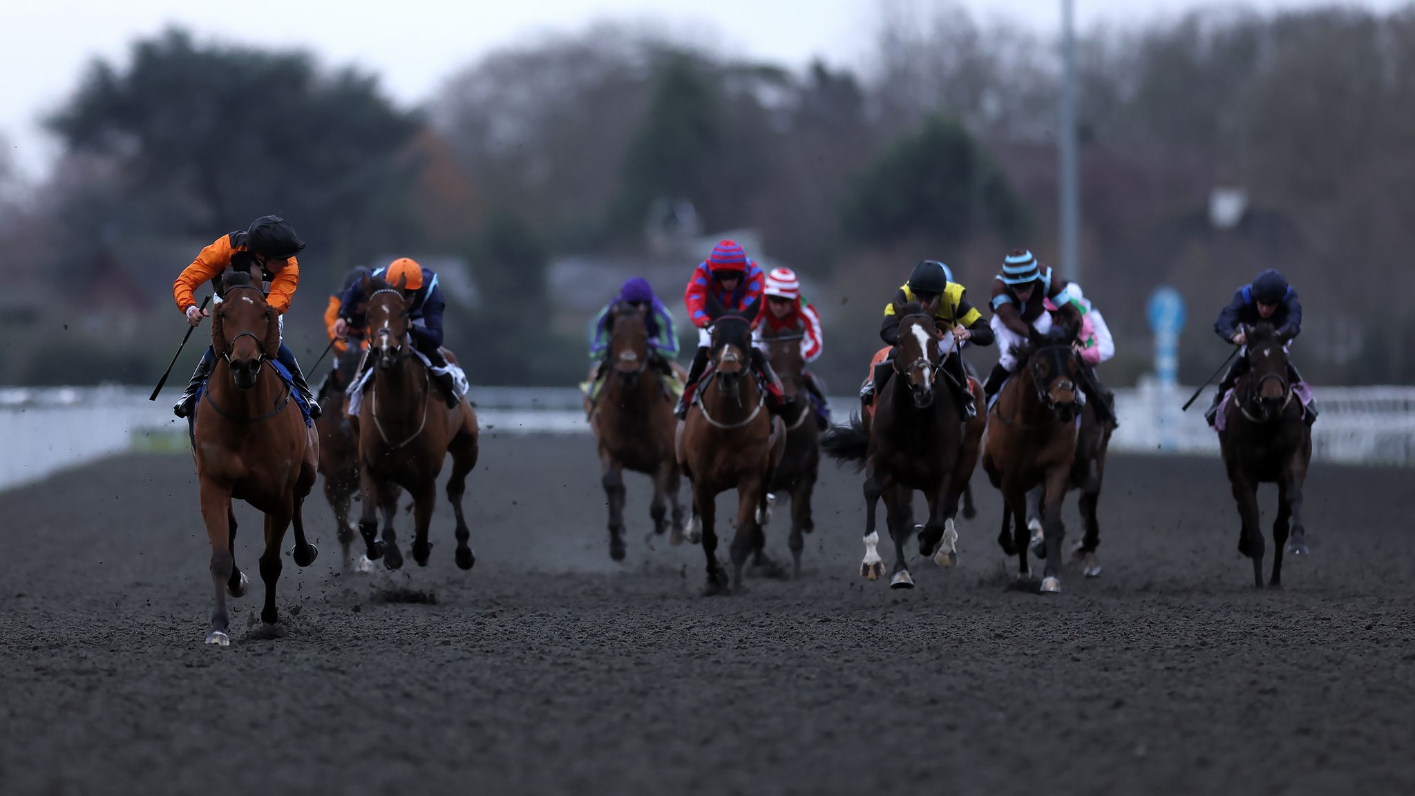 All-Weather Finals Day on Sky Sports Racing: Champion trainer Mick ...