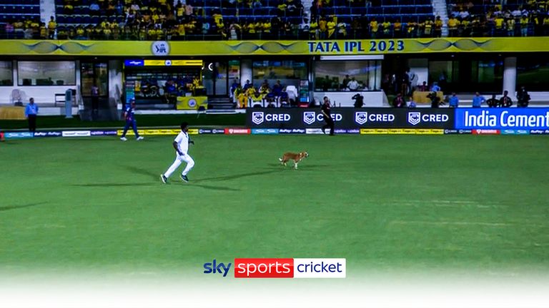 Dog invades pitch to delay start of IPL match | Cricket News | Sky Sports