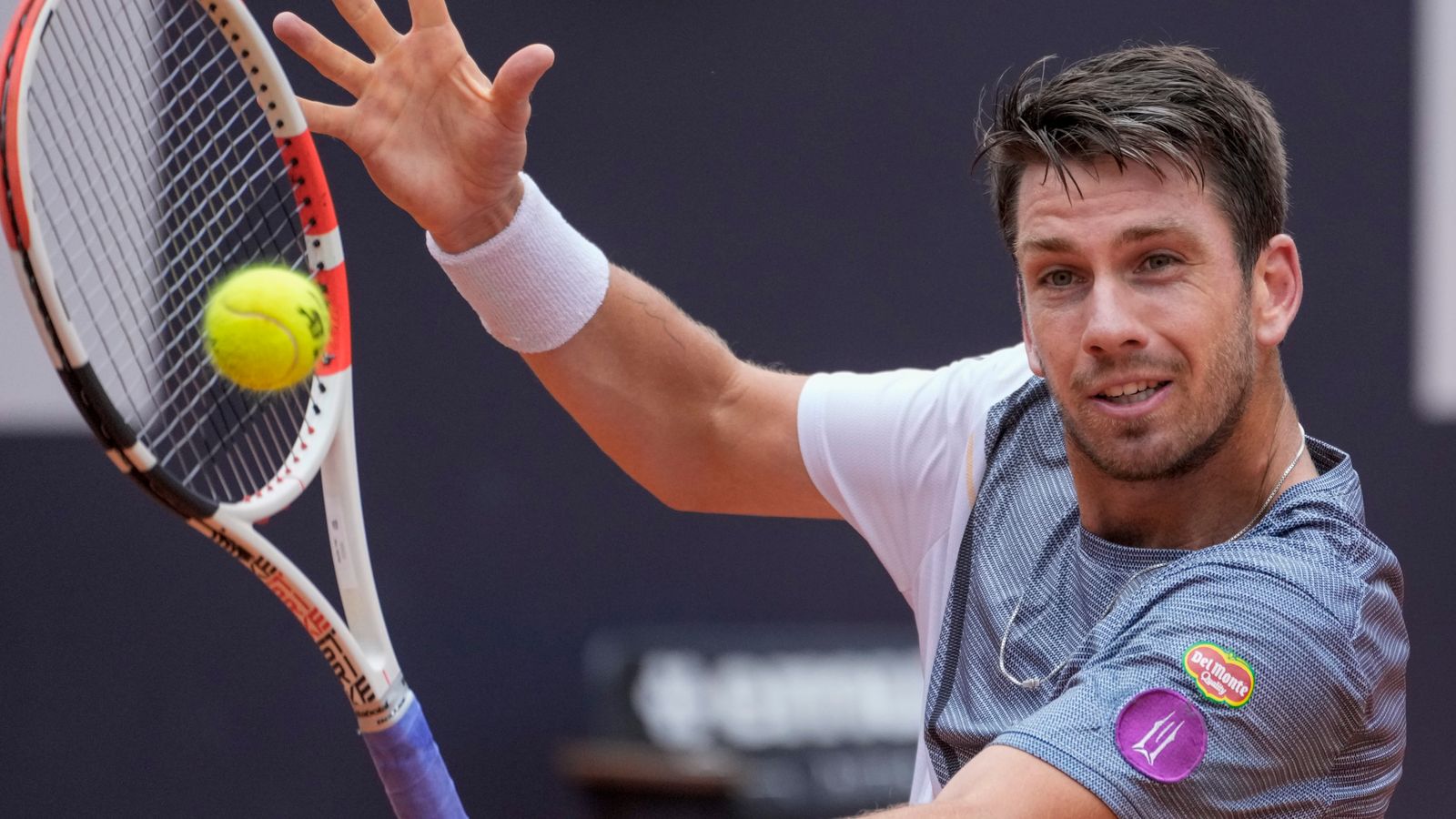 French Open: Novak Djokovic and Carlos Alcaraz could meet in semi-finals; Cameron Norrie faces ...