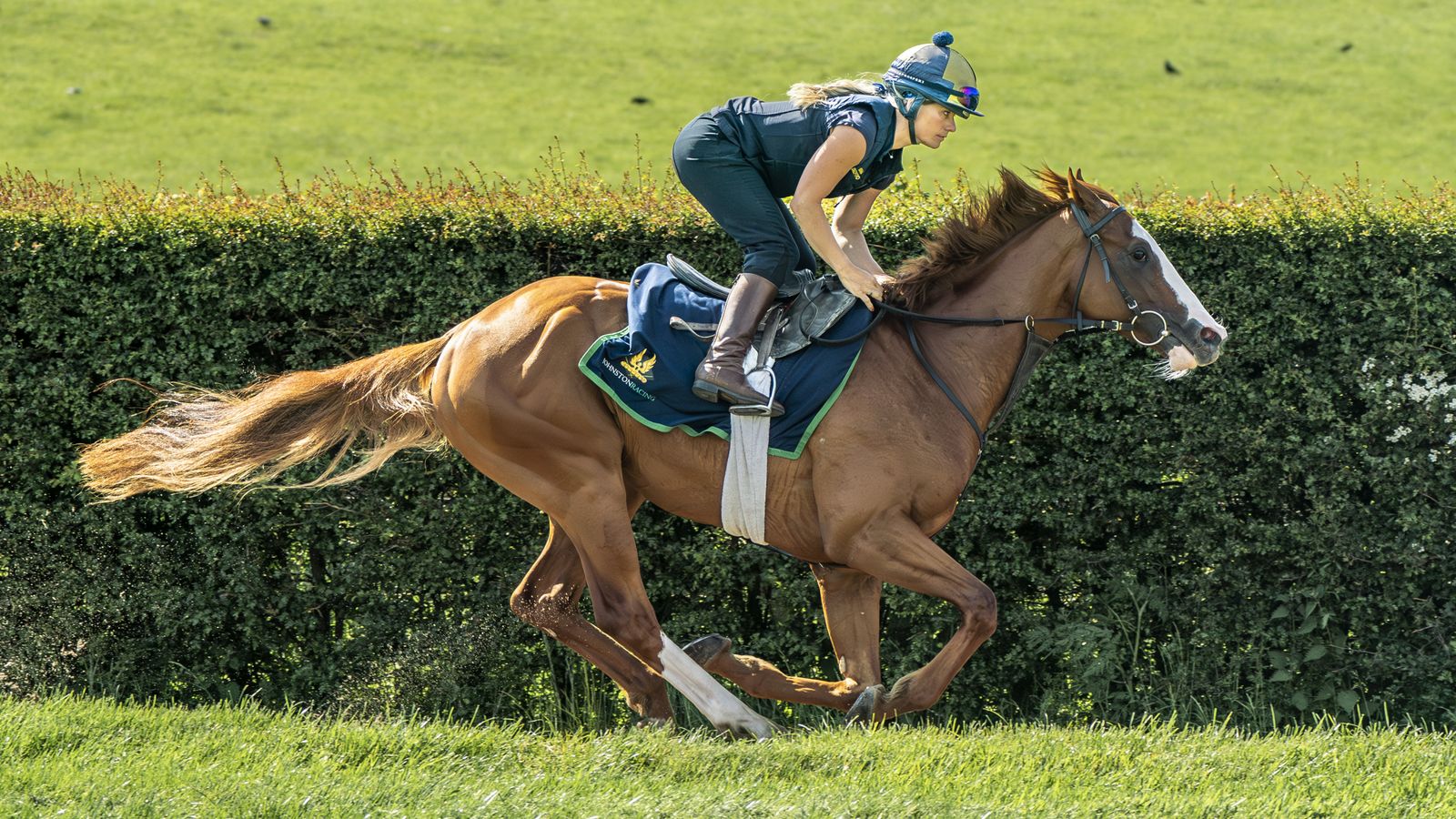 Betfred Derby: Charlie Johnston dreaming of Epsom glory with bargain ...