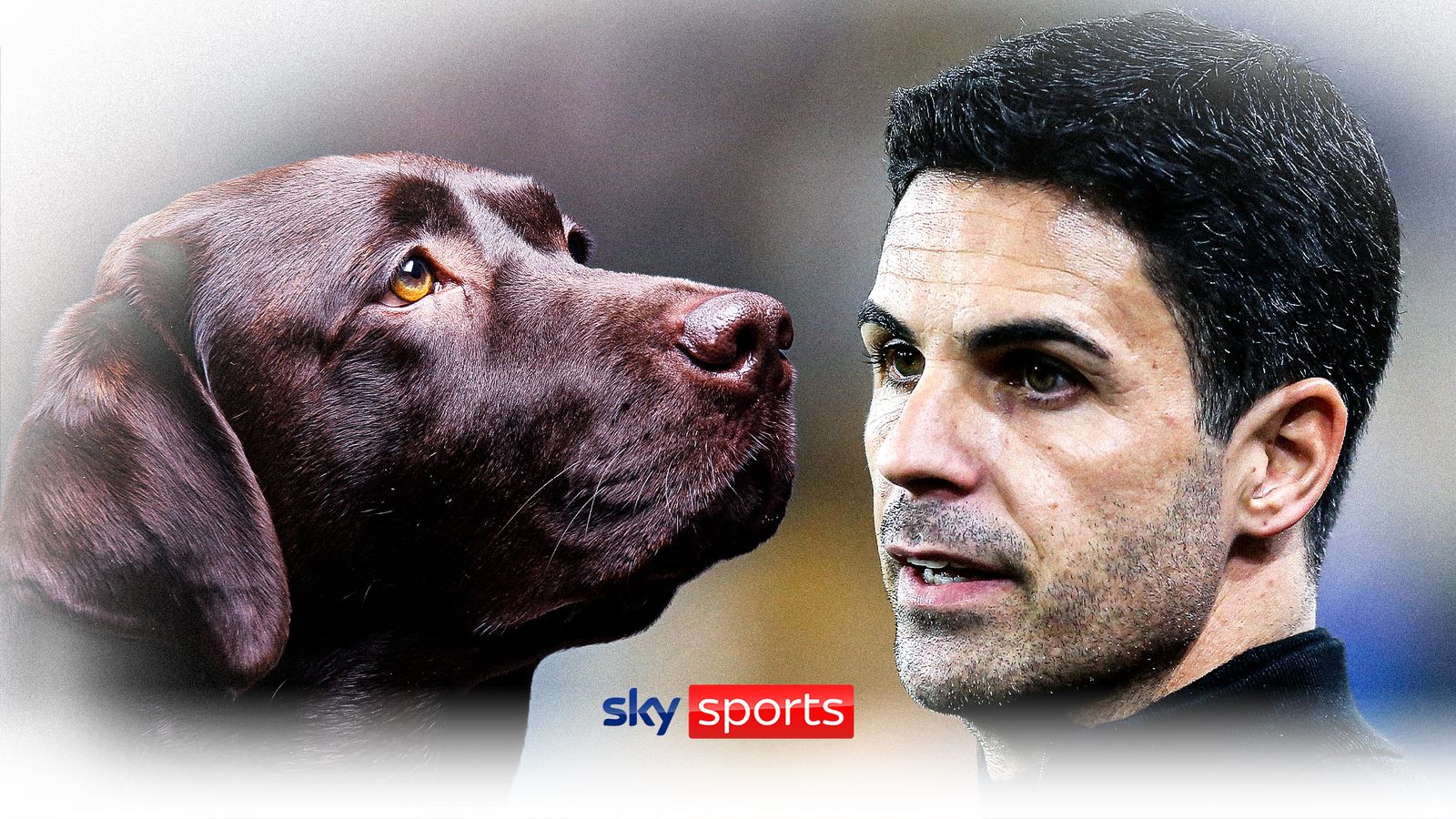 Mikel Arteta: Arsenal dog helps players connect | 'We are a family here ...
