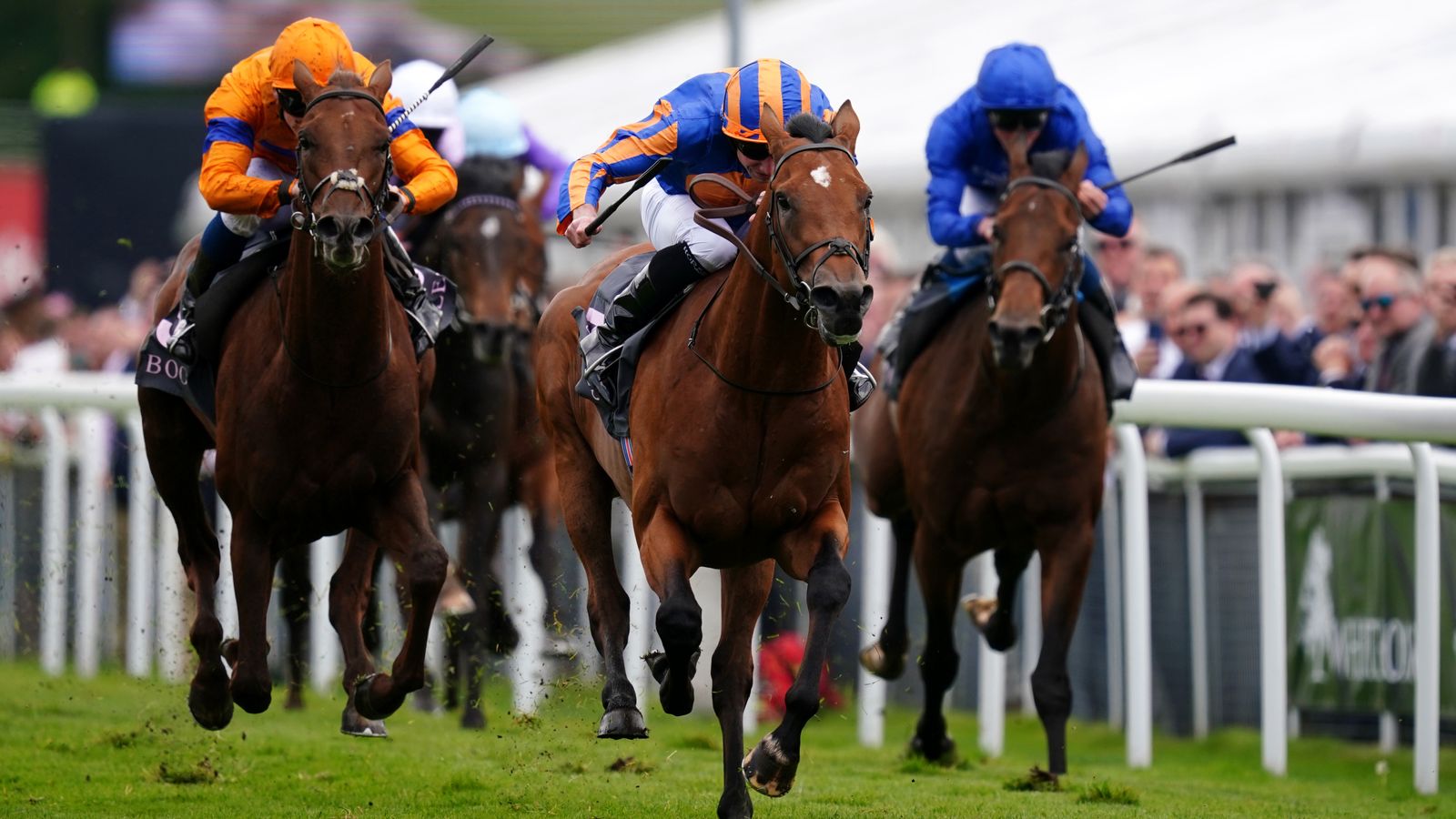 Chester May Festival LIVE! Derby contenders on show in Vase | Racing ...