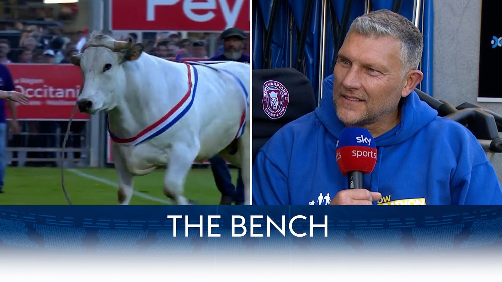 The Bench | Which would be the worst animal on a rugby league pitch ...