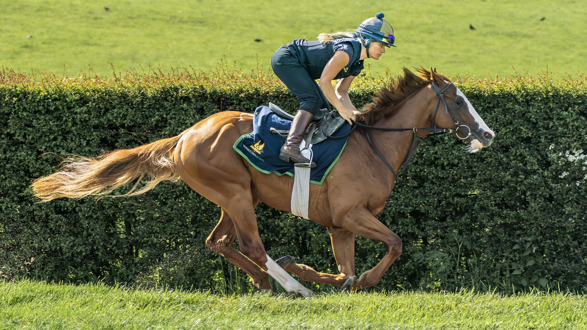 Betfred Derby: Charlie Johnston dreaming of Epsom glory with bargain ...