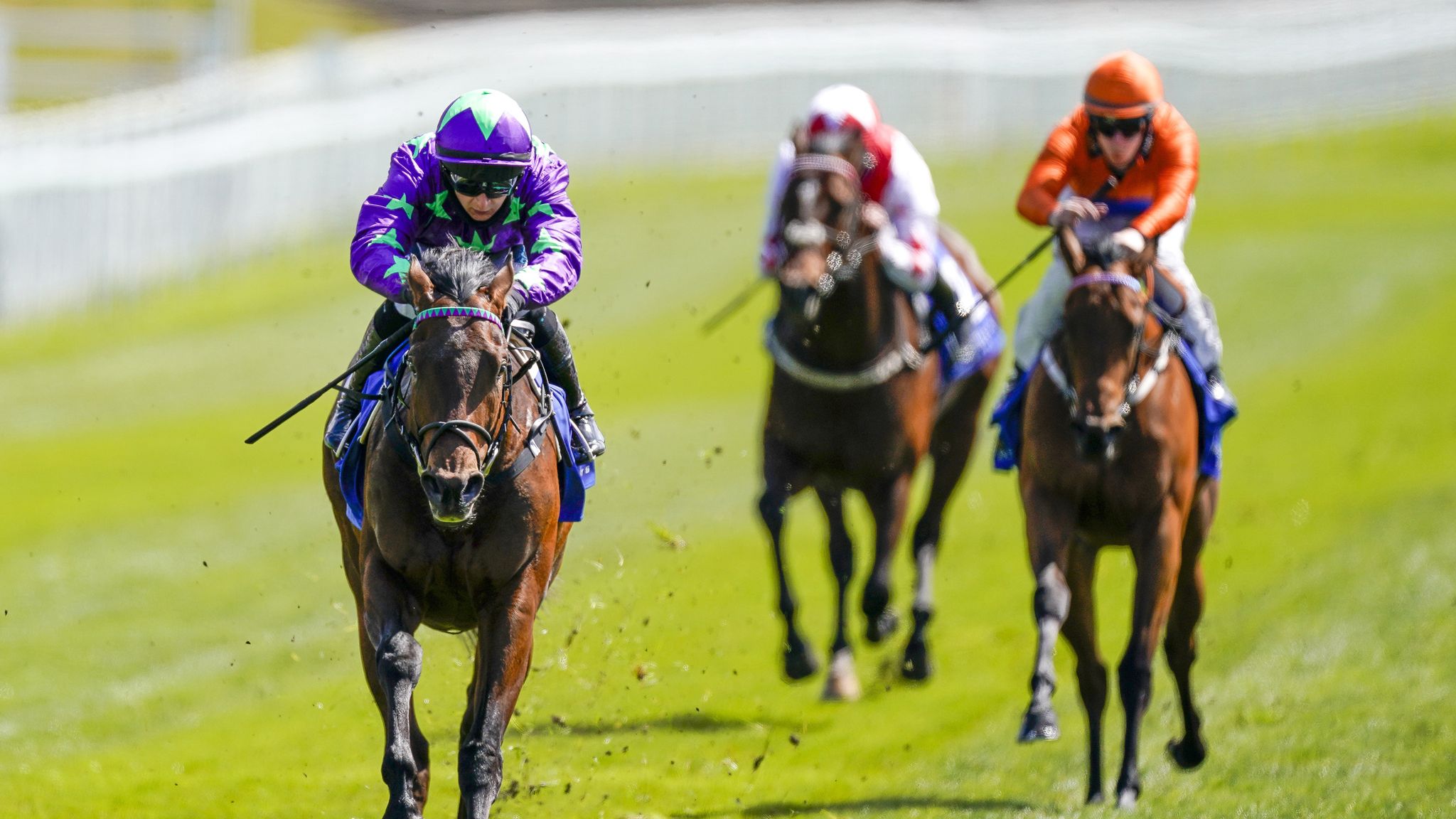 Today on Sky Sports Racing: Anmaat, Buckaroo and Light Infantry take on ...