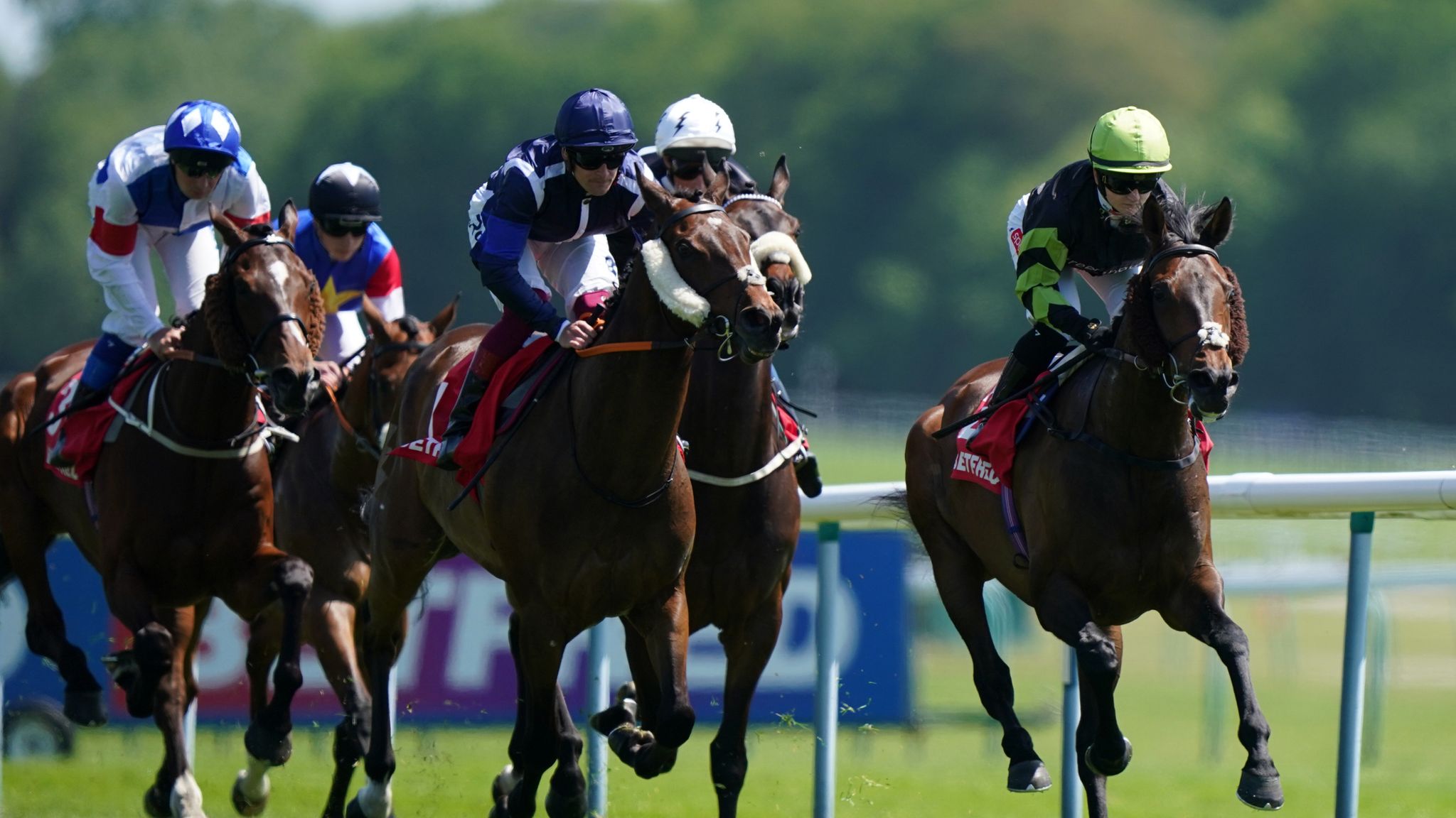 Sandy Lane Stakes: Little Big Bear roars back to winning ways at ...