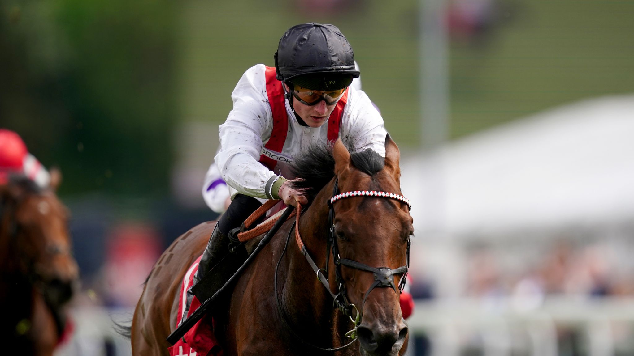 Ormonde Stakes: Hamish first horse in 20 years to win back-to-back in ...