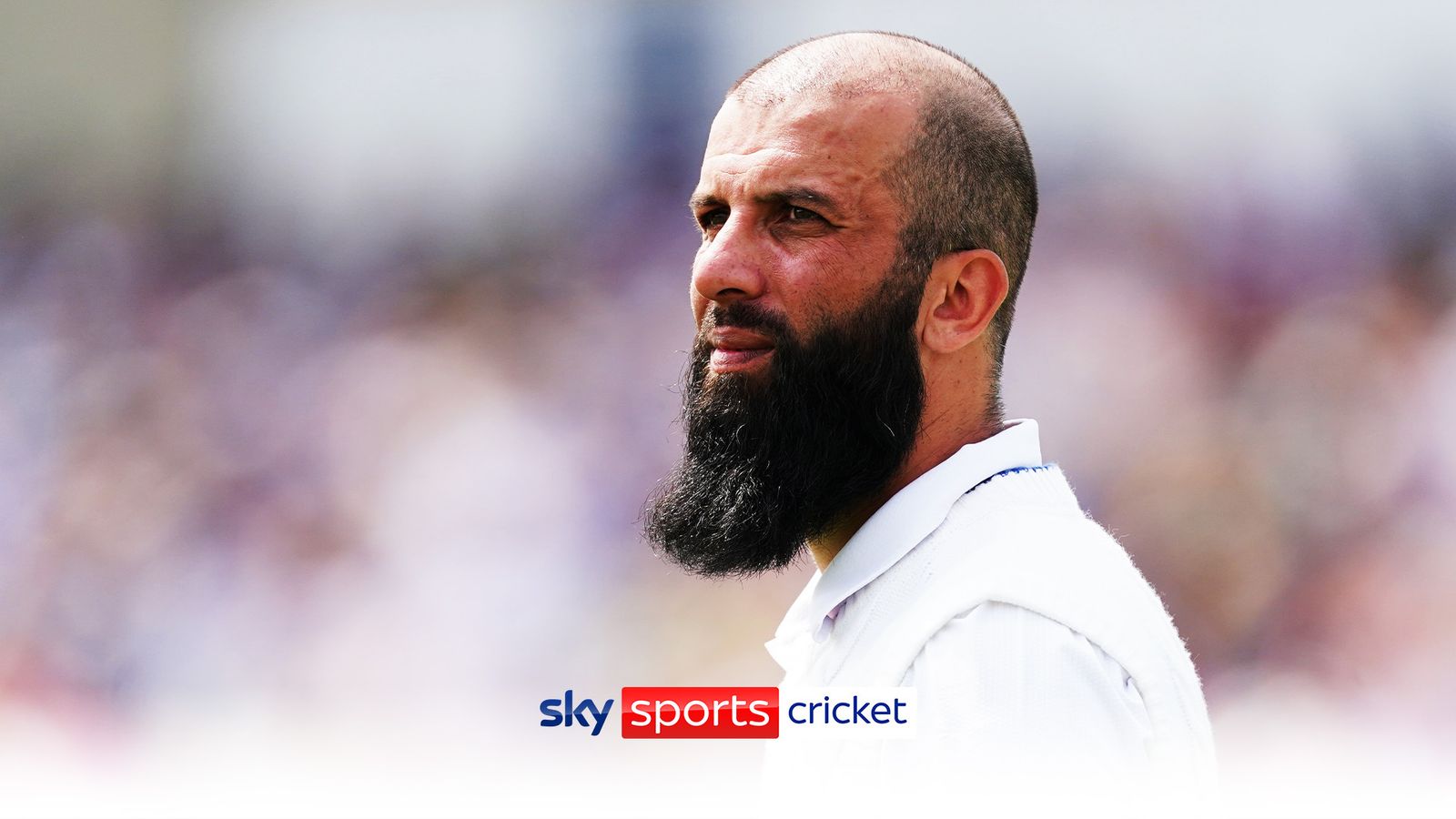 The Ashes: England spinner Moeen Ali fined 25 per cent of match fee for ...
