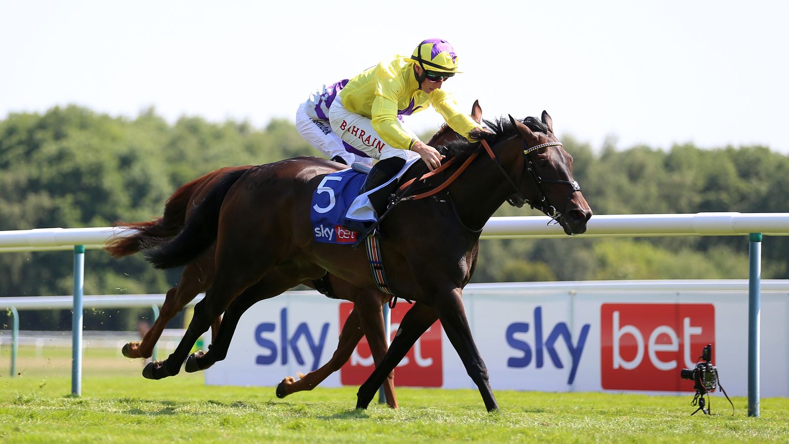 Lester Piggott Stakes: Sea Silk Road secures poignant victory for ...
