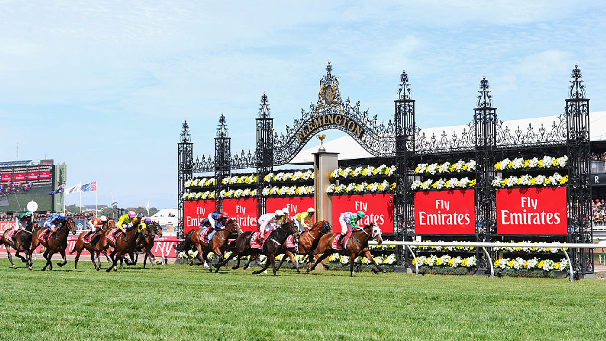 Melbourne Cup: St Leger hero Jan Brueghel ruled out of Melbourne Cup ...