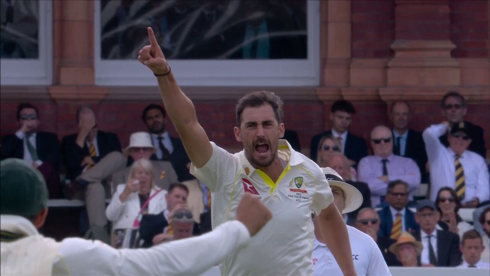 'That is fantastic bowling' | Starc destroys middle stump | Cricket ...