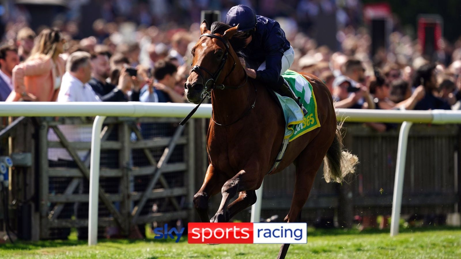 Aidan O'Brien stable tour: City Of Troy leaves Ballydoyle 'very excited ...