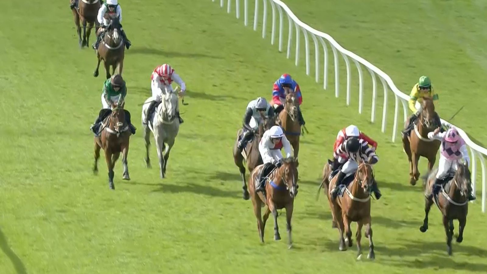 Hillsin suspended for 40 days: Trainer Chris Honour claims no foul play ...