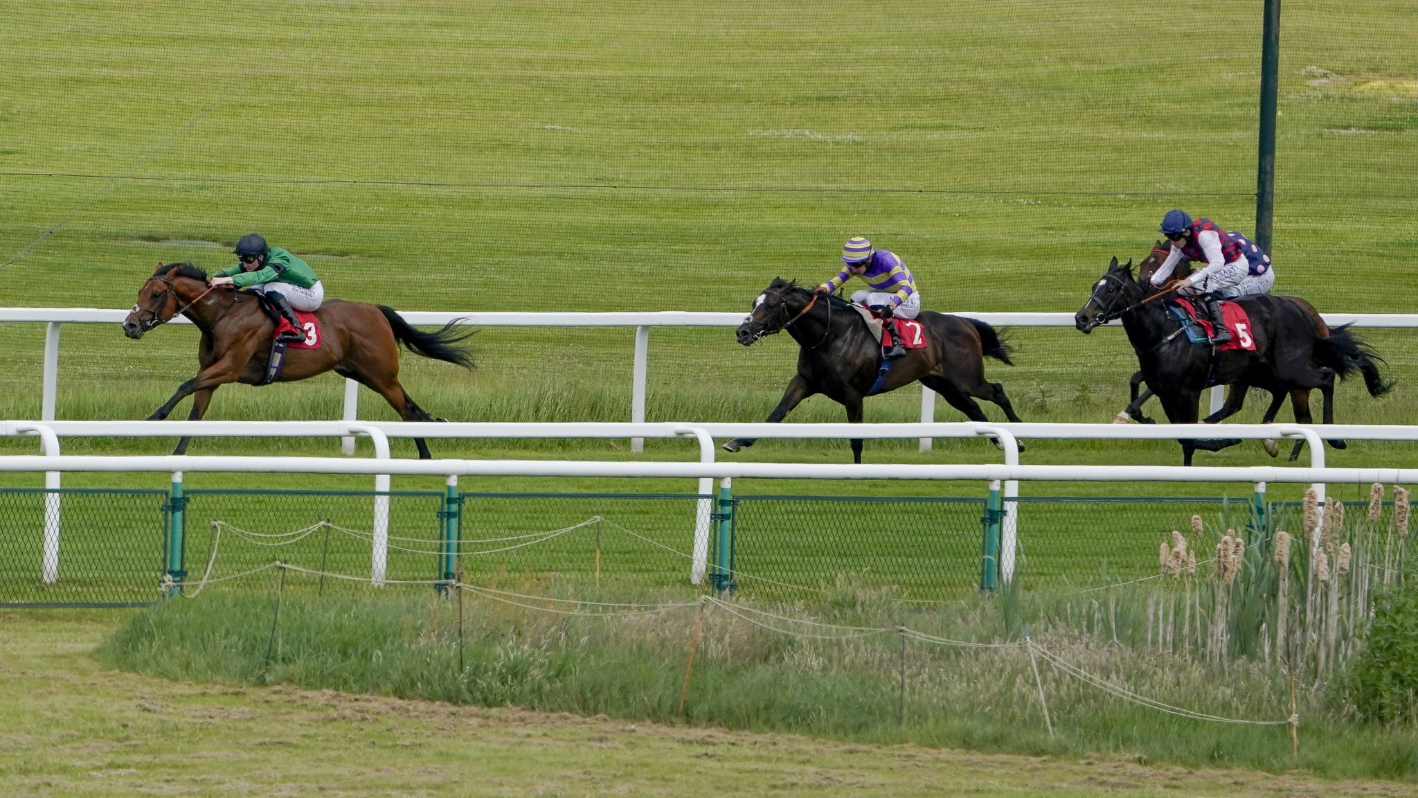 Today on Sky Sports Racing: Windsor, Newton Abbot and Wolverhampton ...