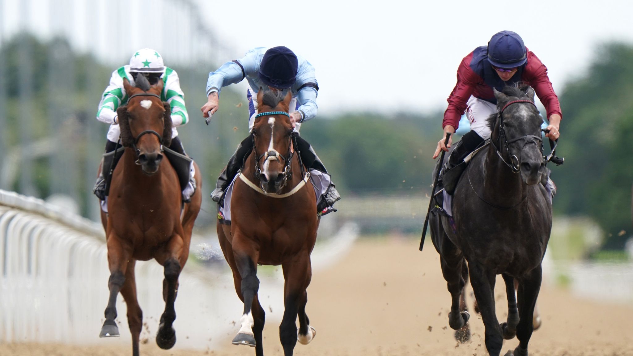 Today on Sky Sports Racing: Spycatcher, Cold Case and Rohaan among ...