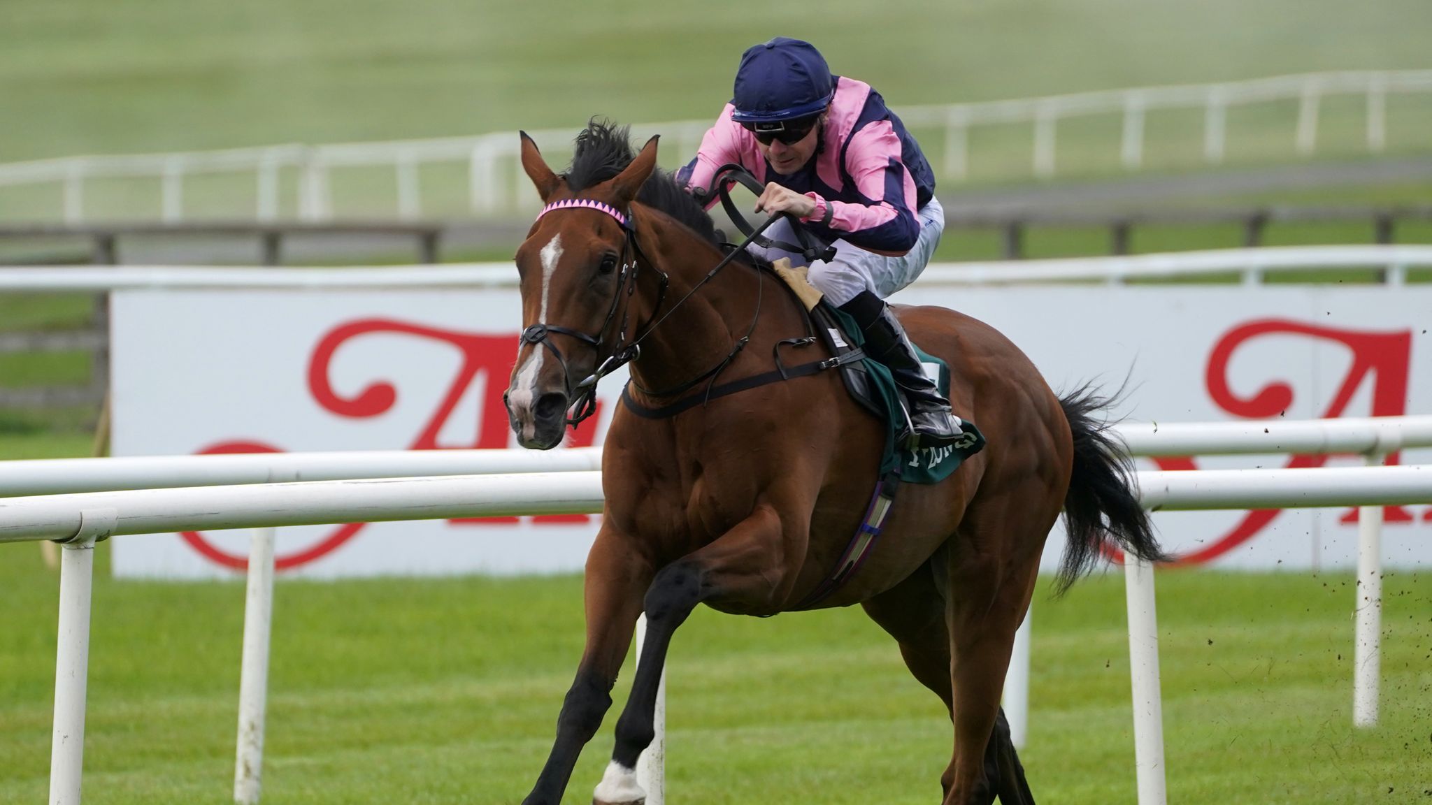 Pretty Polly Stakes: Via Sistina shines bright as George Boughey's ...