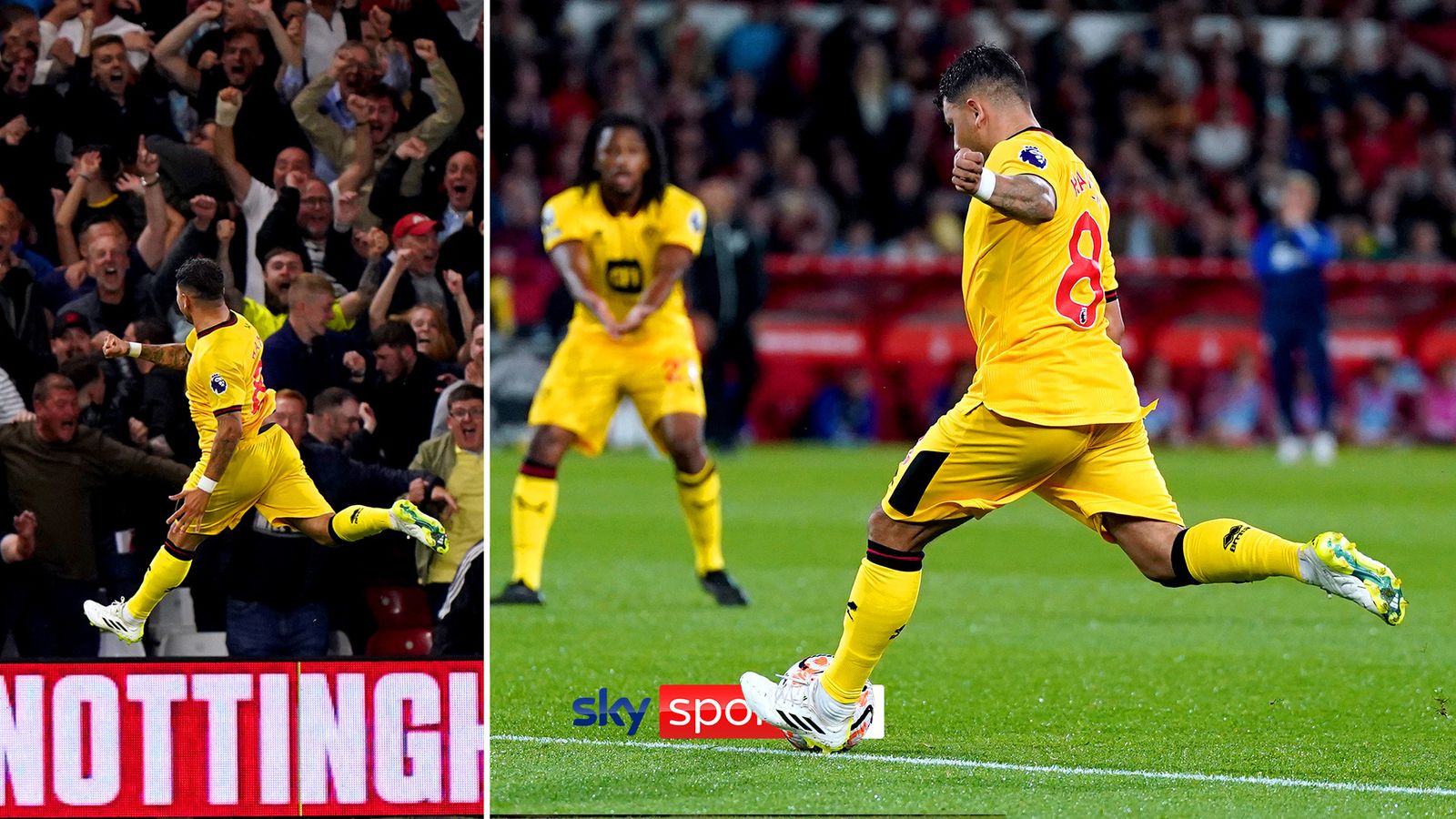 'What an introduction to the Premier League!' | Gus Hamer's stunning ...