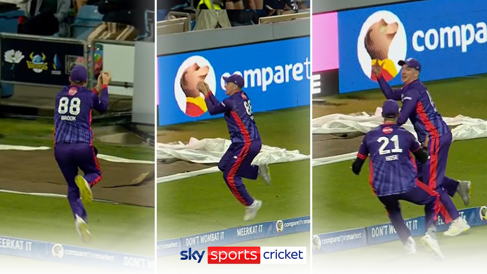 'You can do no wrong!' | Harry Brook dances on the boundary for ...
