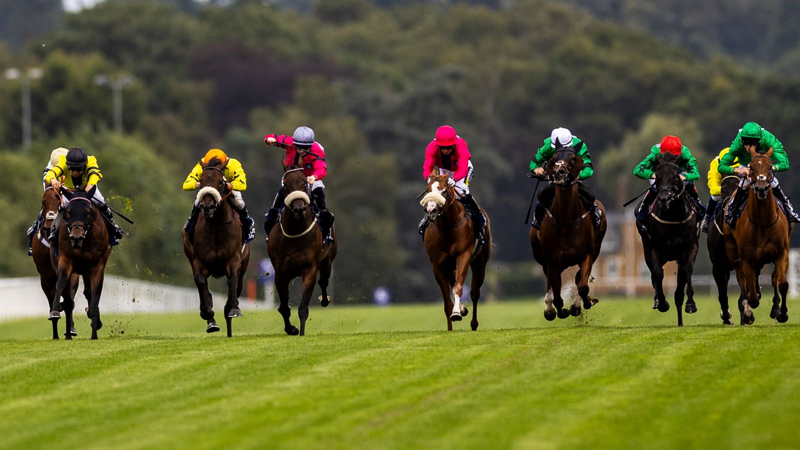 Shergar Cup best bets from the Weekend Winners team as Hollie Doyle ...