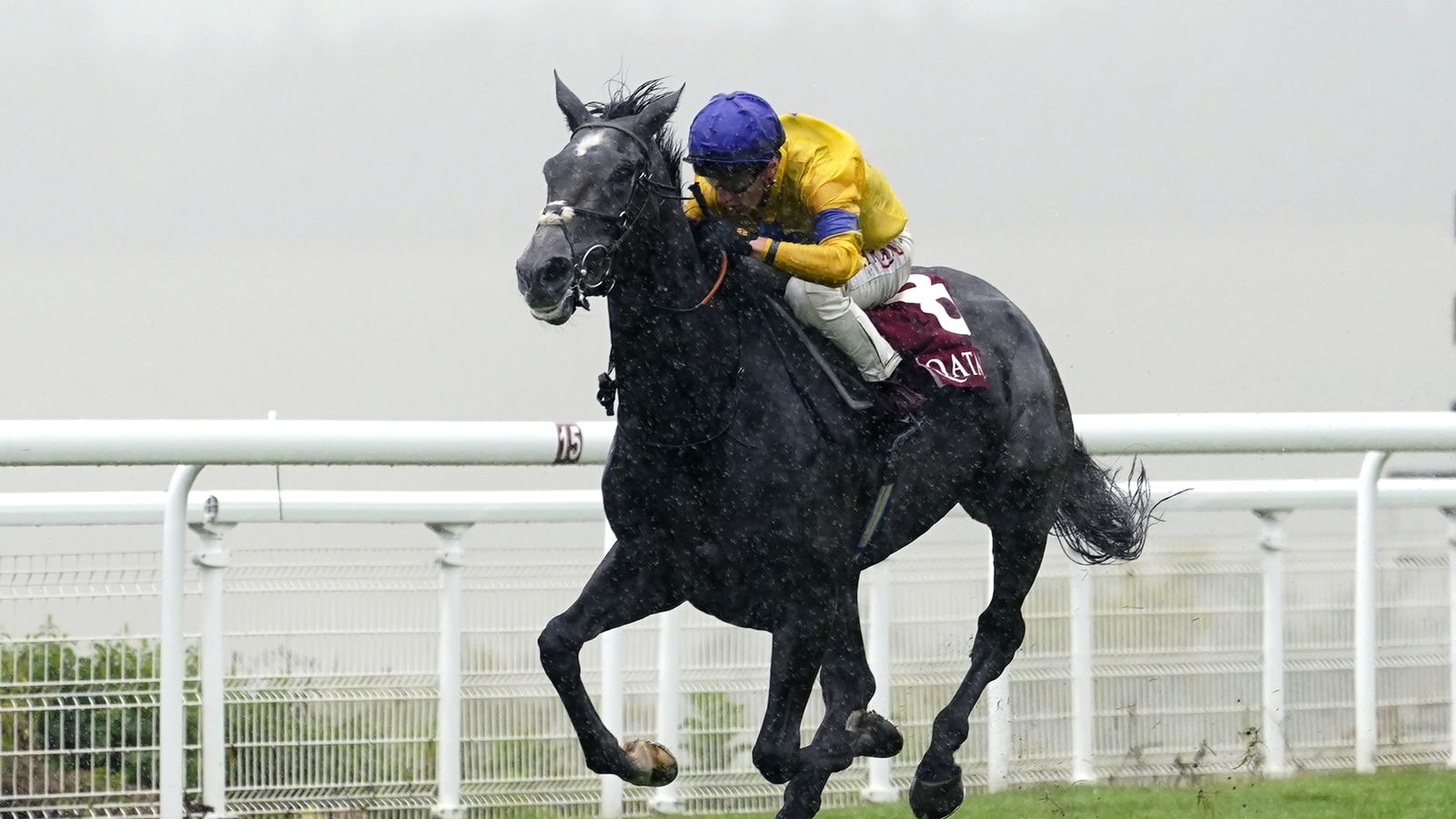 Goodwood Festival: Sumo Sam causes shock in Lillie Langtry as Tom ...